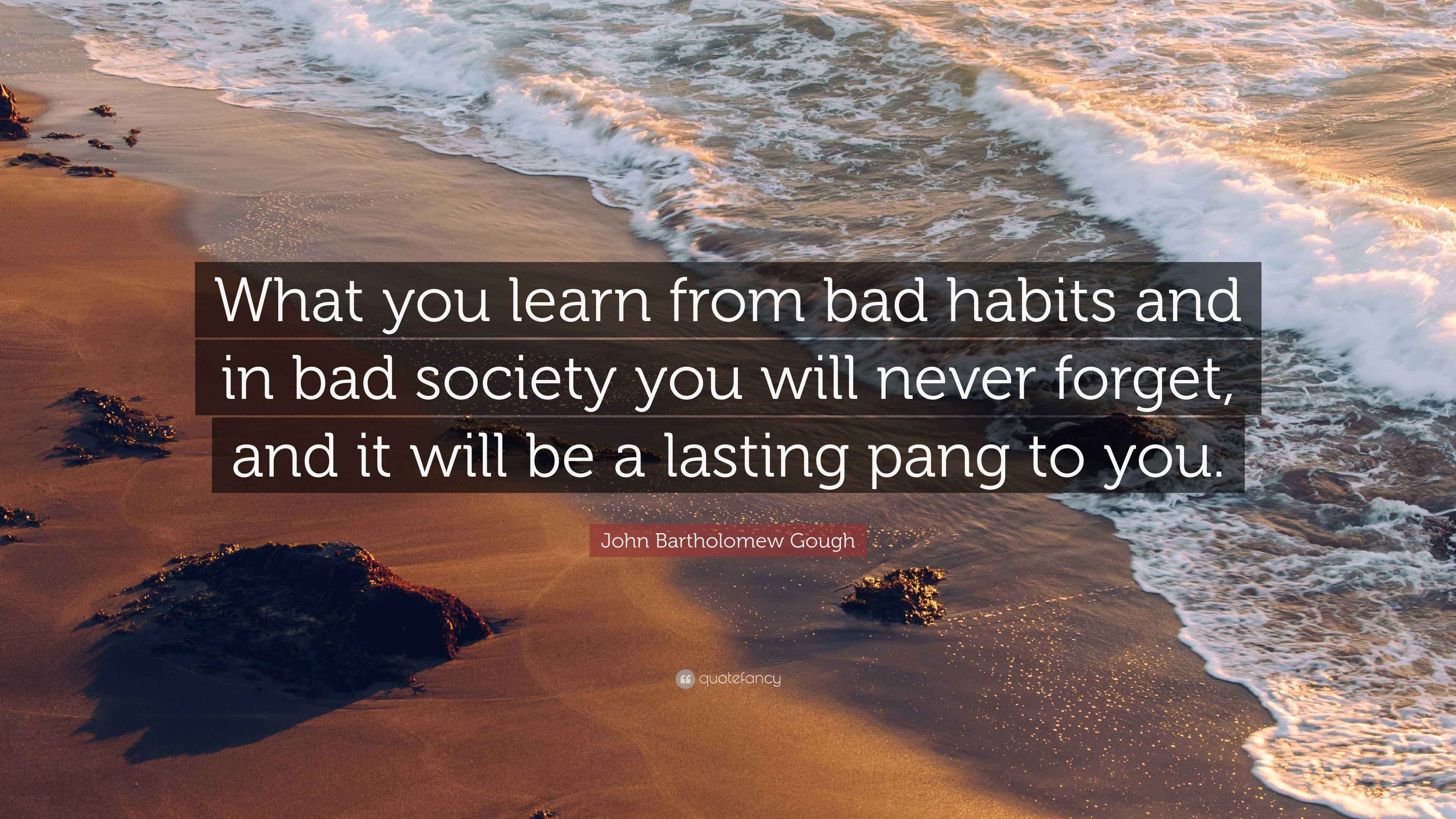 John Bartholomew Gough Quote: “What you learn from bad habits and in ...