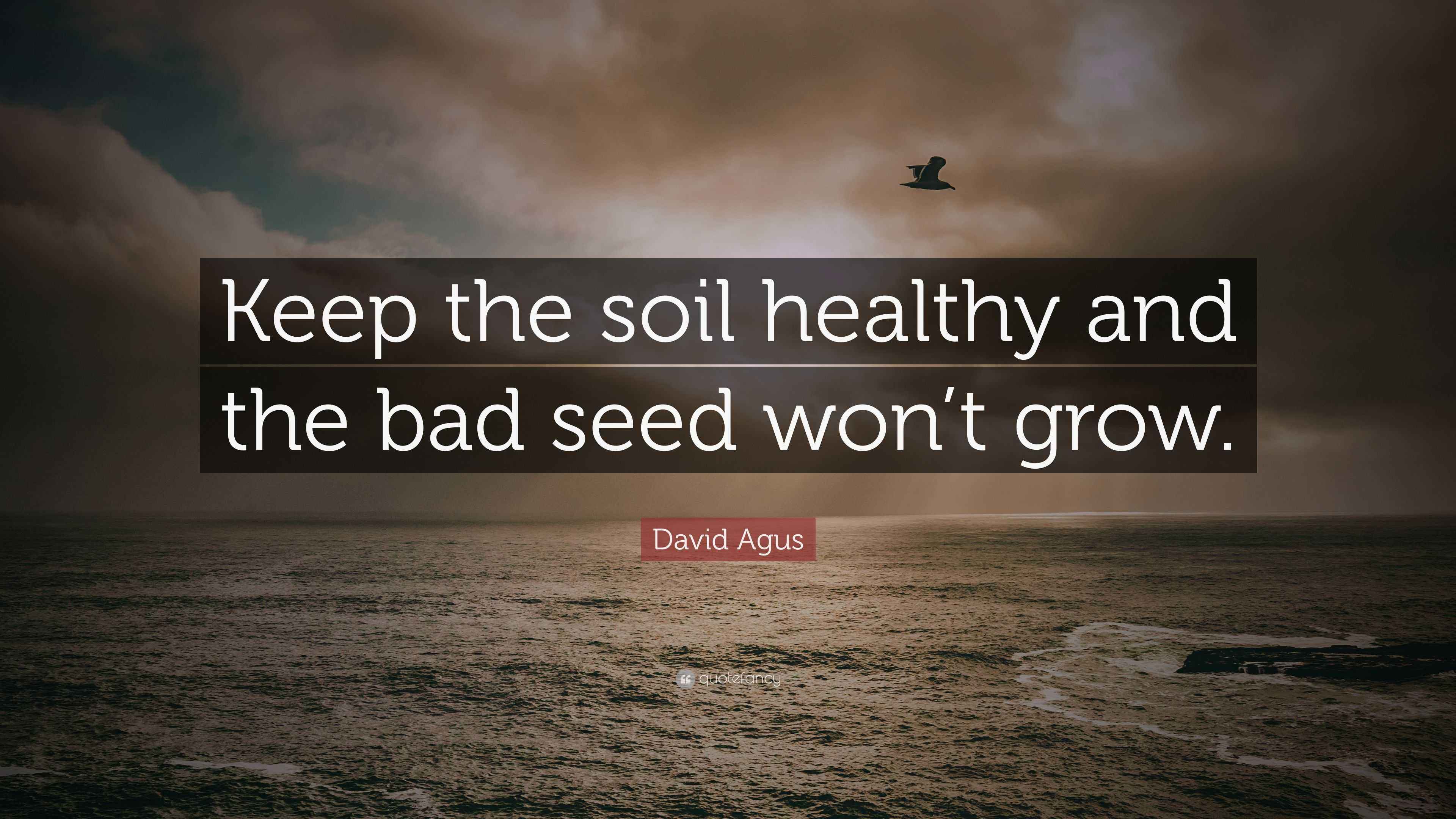 David Agus Quote: “Keep the soil healthy and the bad seed won’t grow.”
