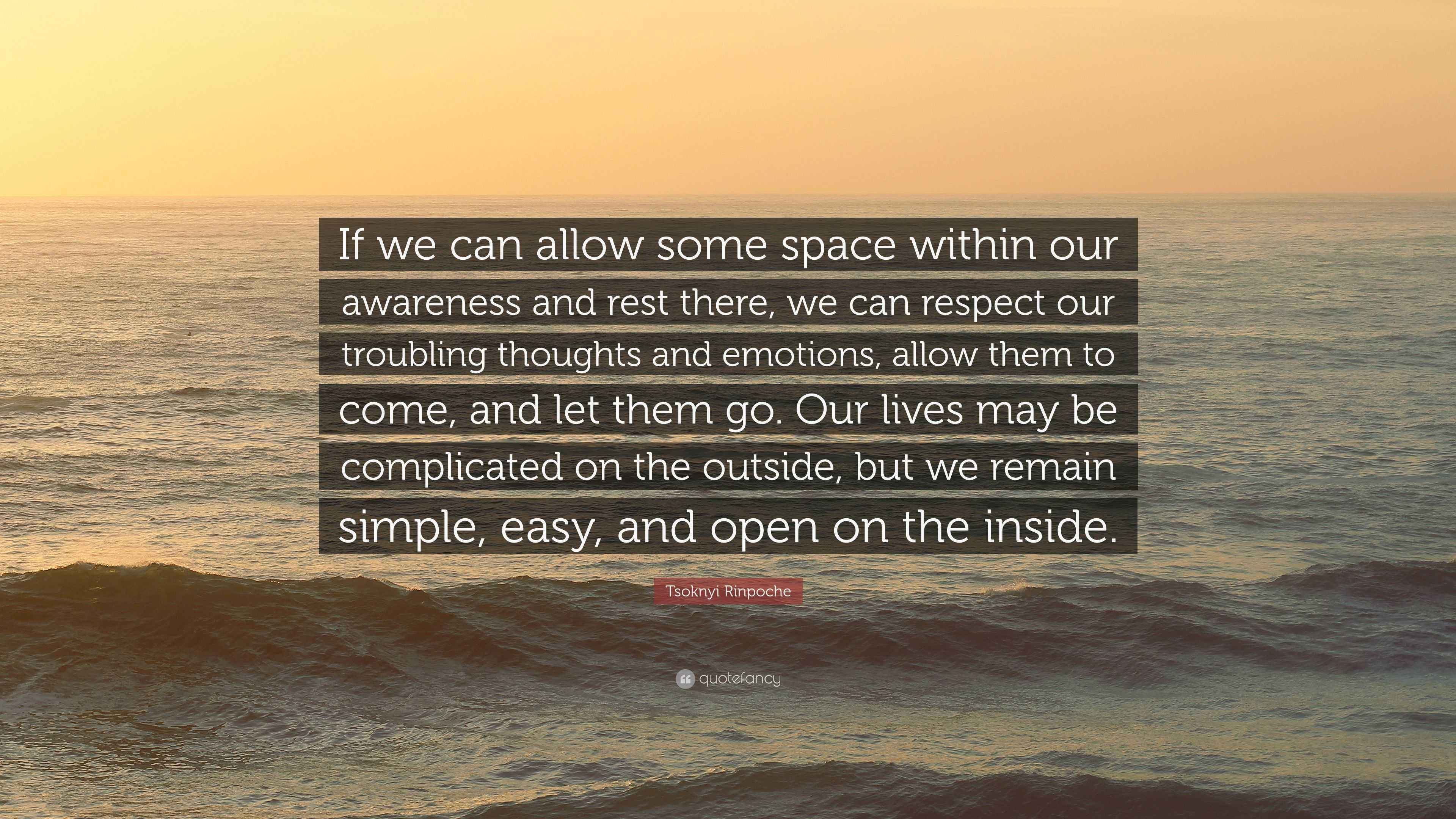 Tsoknyi Rinpoche Quote: “If we can allow some space within our ...