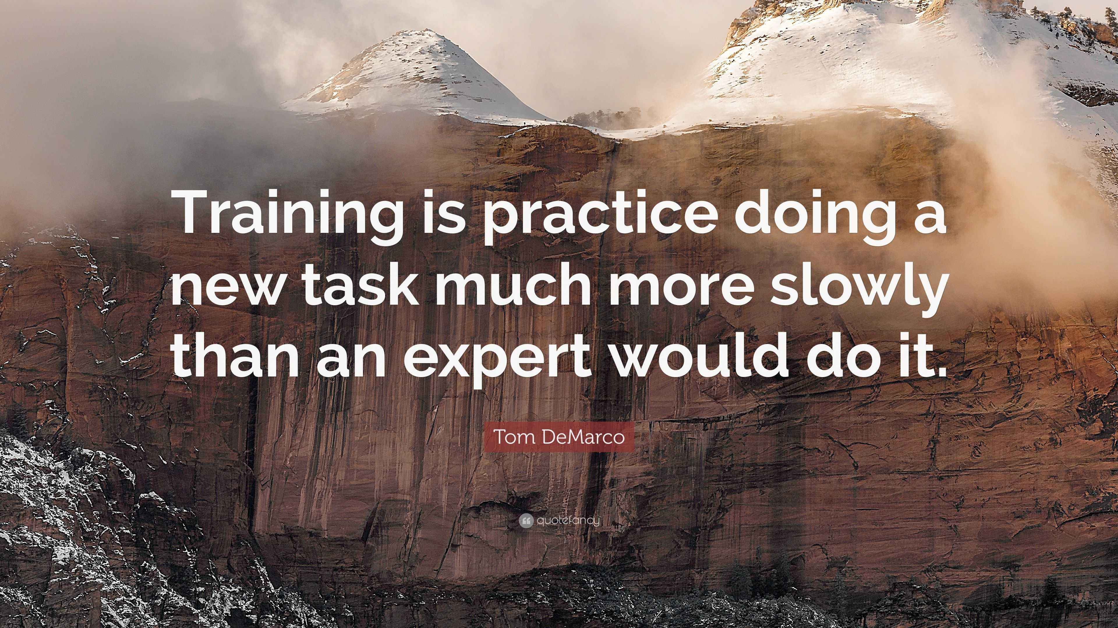 Tom DeMarco Quote: “Training is practice doing a new task much more ...