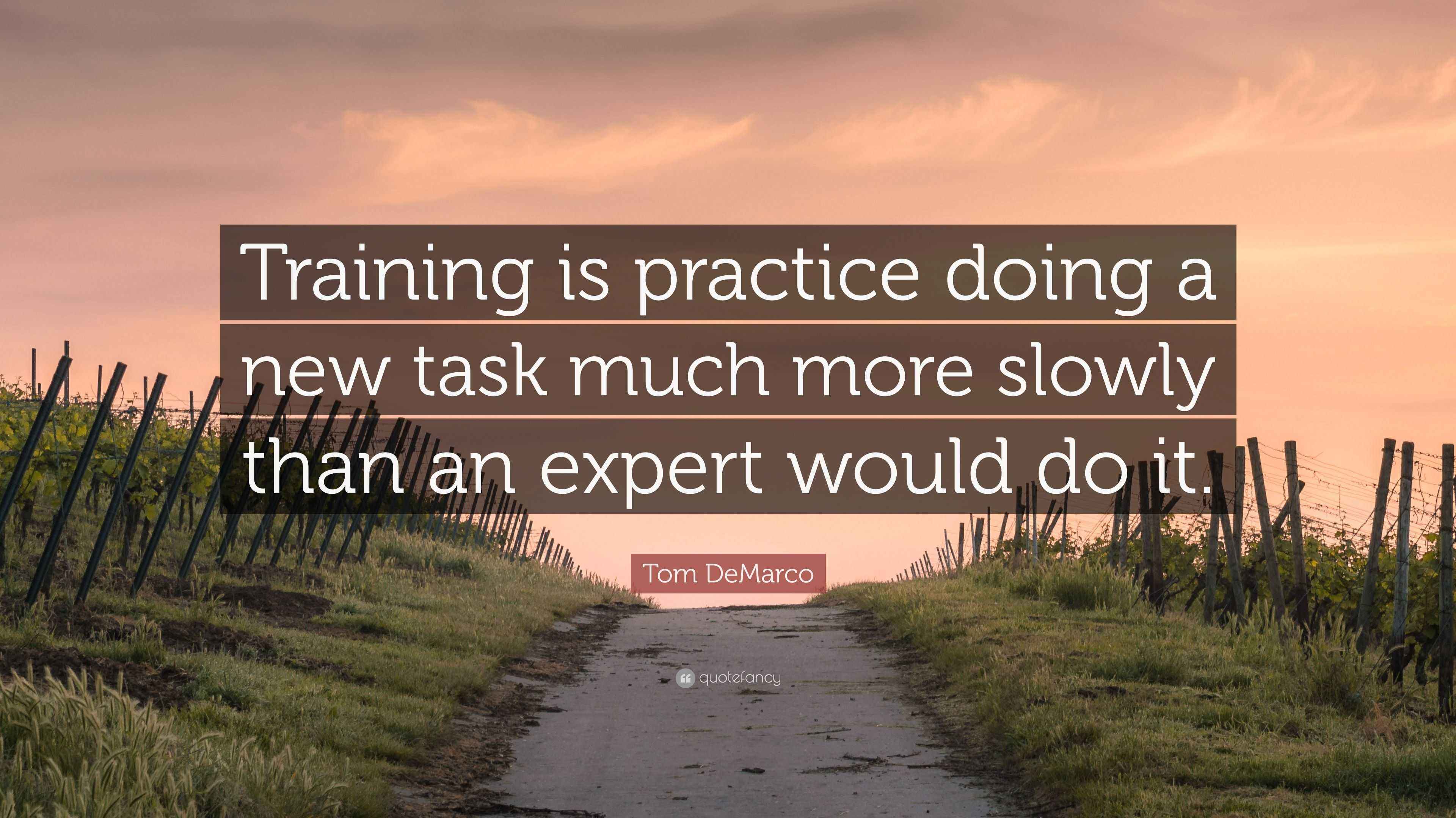 Tom DeMarco Quote: “Training is practice doing a new task much more ...