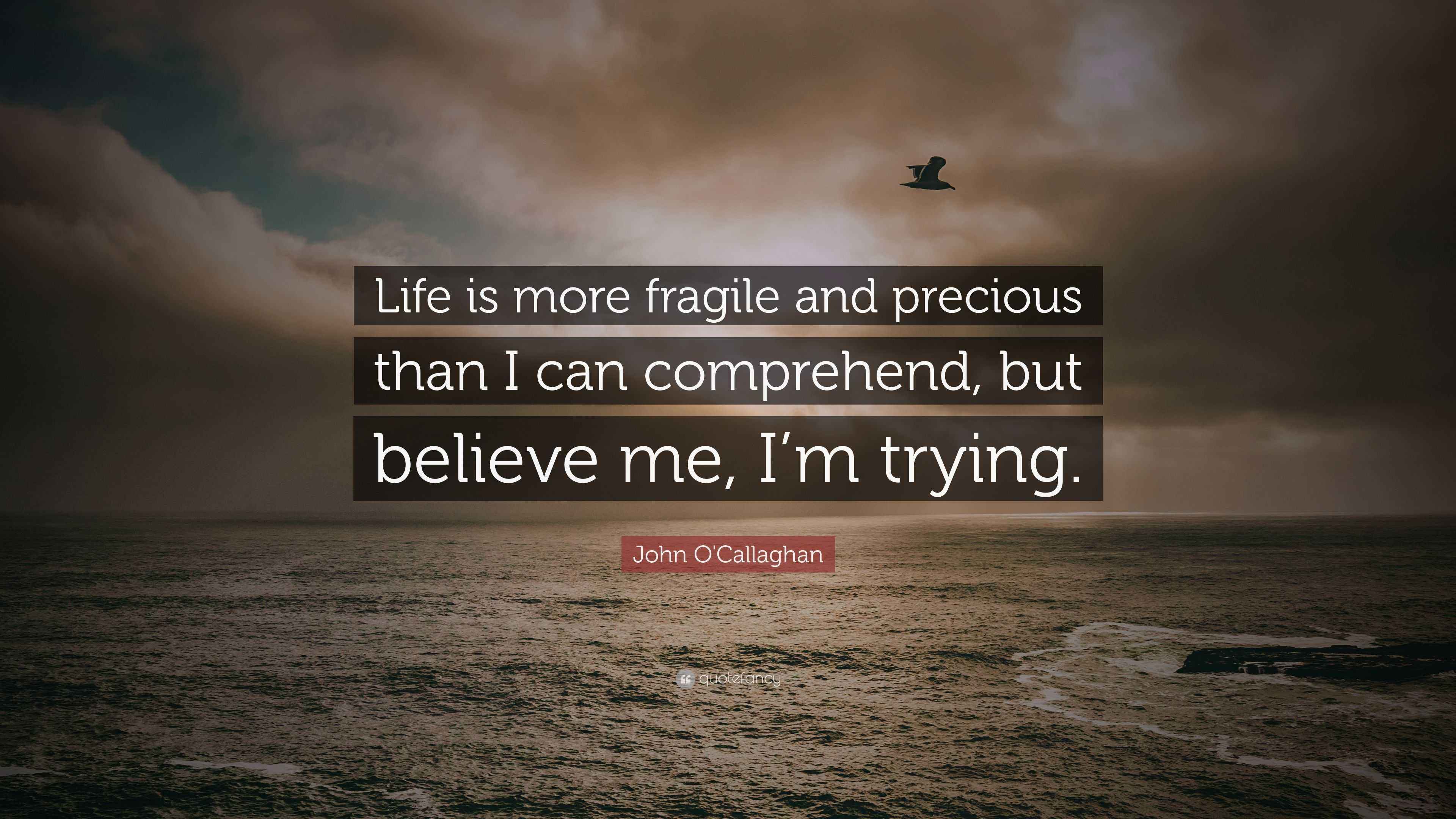 John O'Callaghan Quote: “Life is more fragile and precious than I can ...