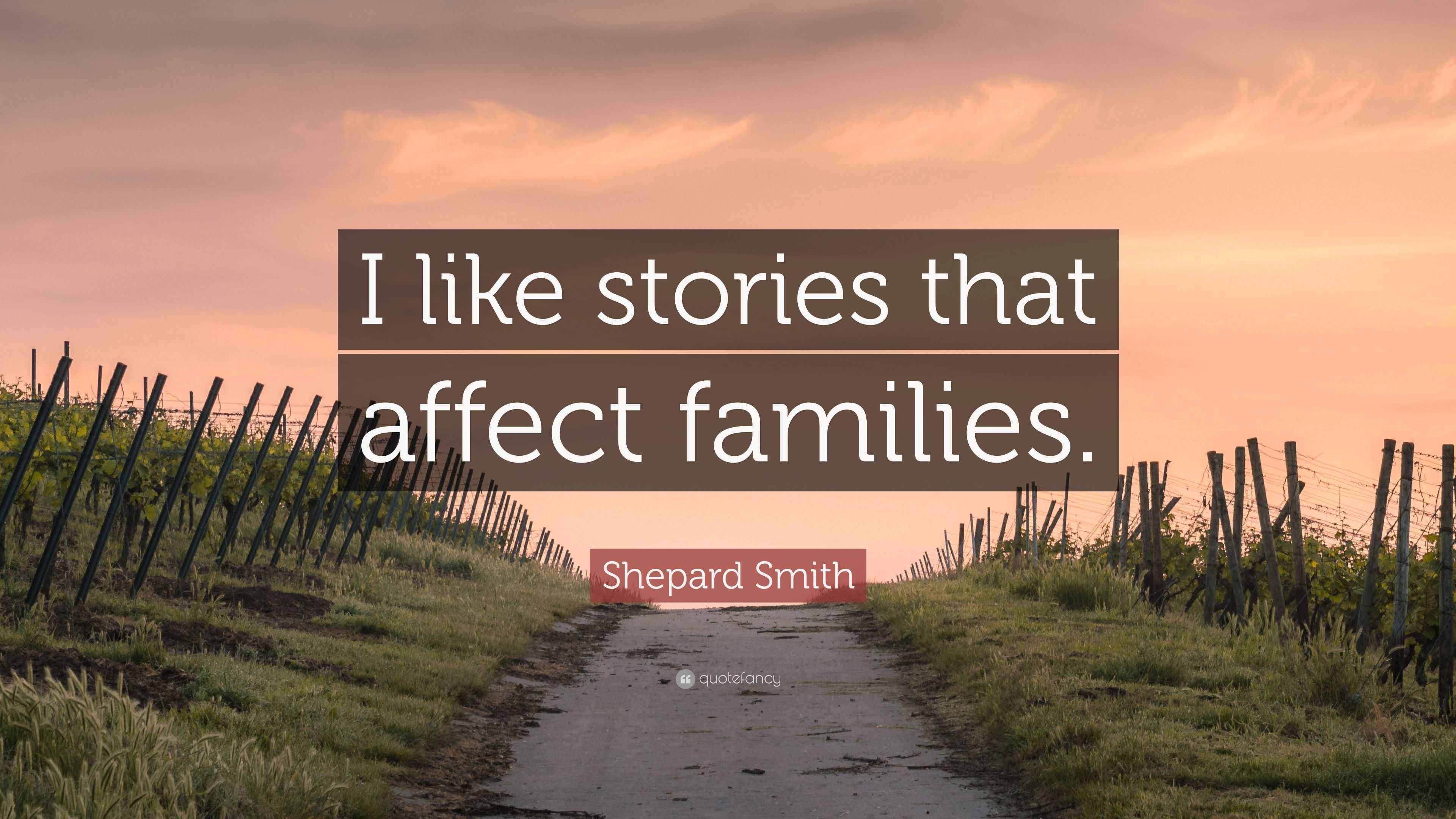 Shepard Smith Quote: “I like stories that affect families.”
