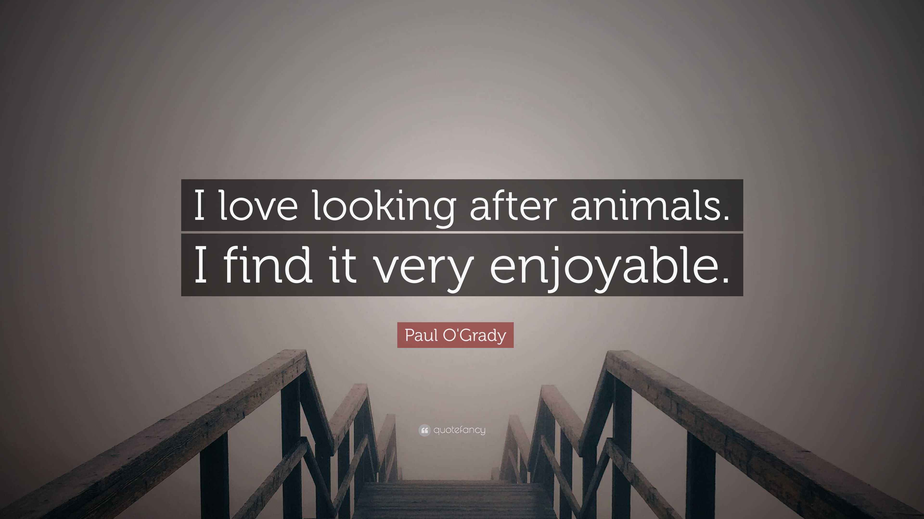Paul O'Grady Quote: “I love looking after animals. I find it very ...
