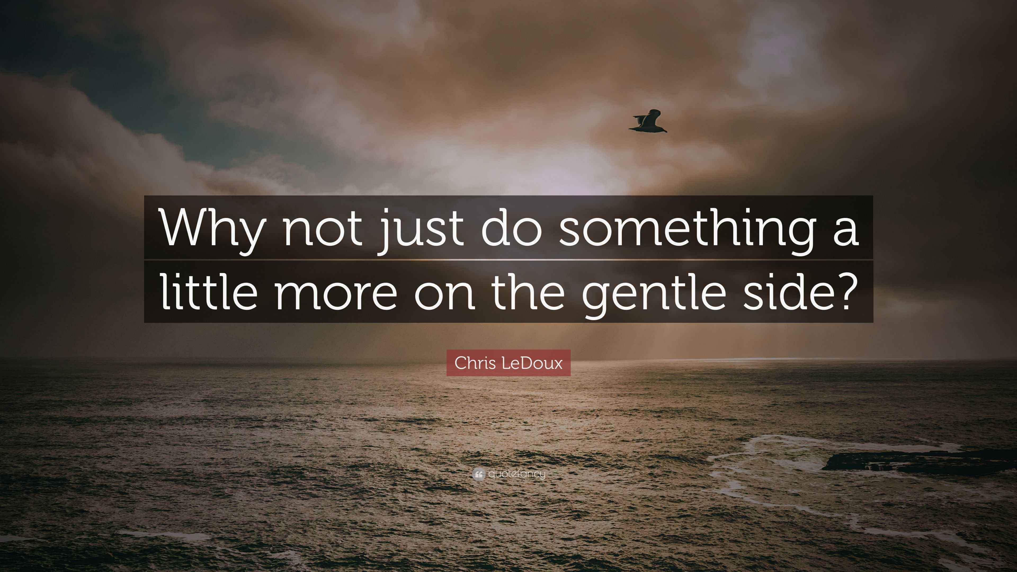 Chris LeDoux Quote: “Why not just do something a little more on the ...