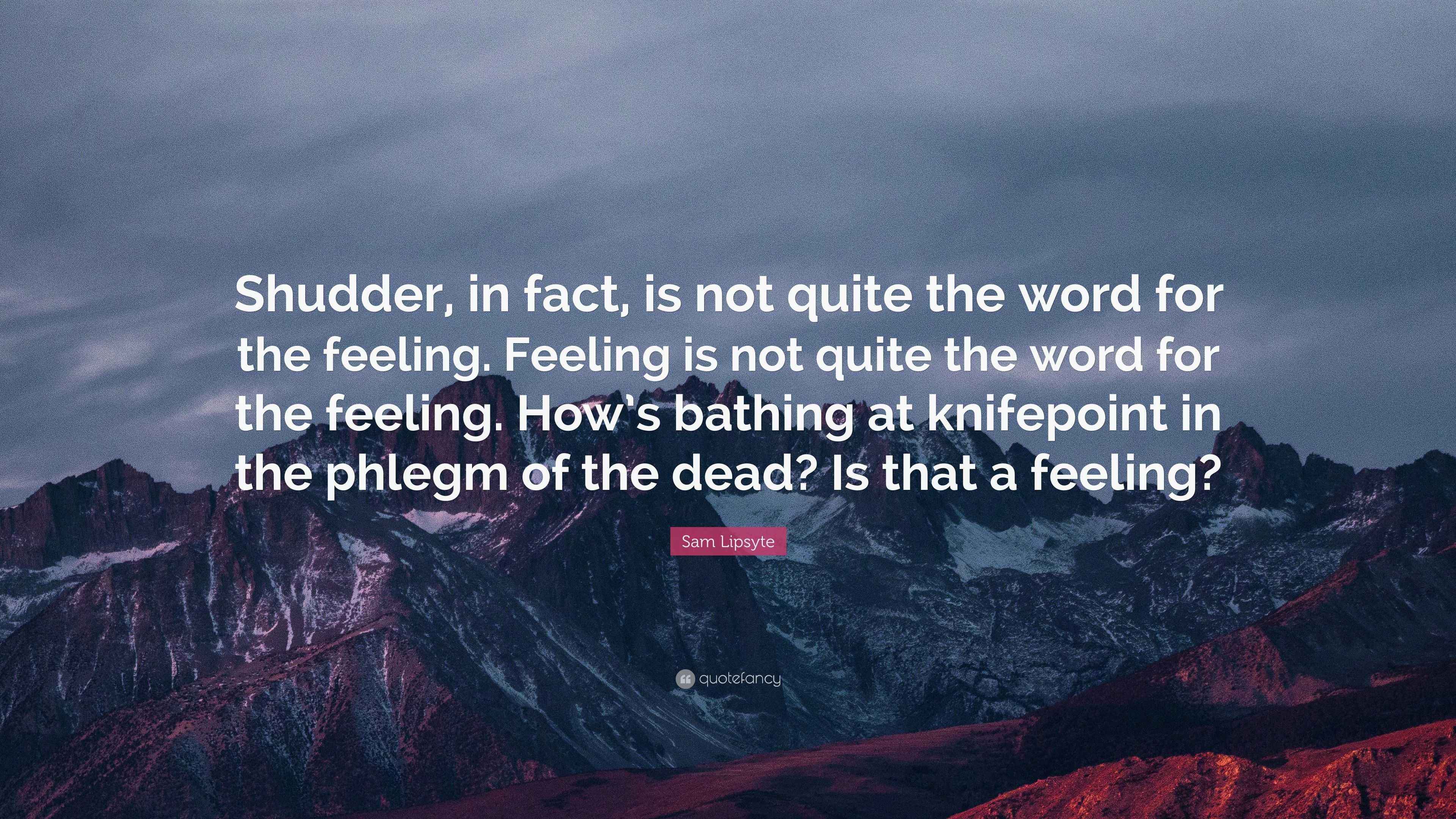 Sam Lipsyte Quote: “Shudder, in fact, is not quite the word for the ...