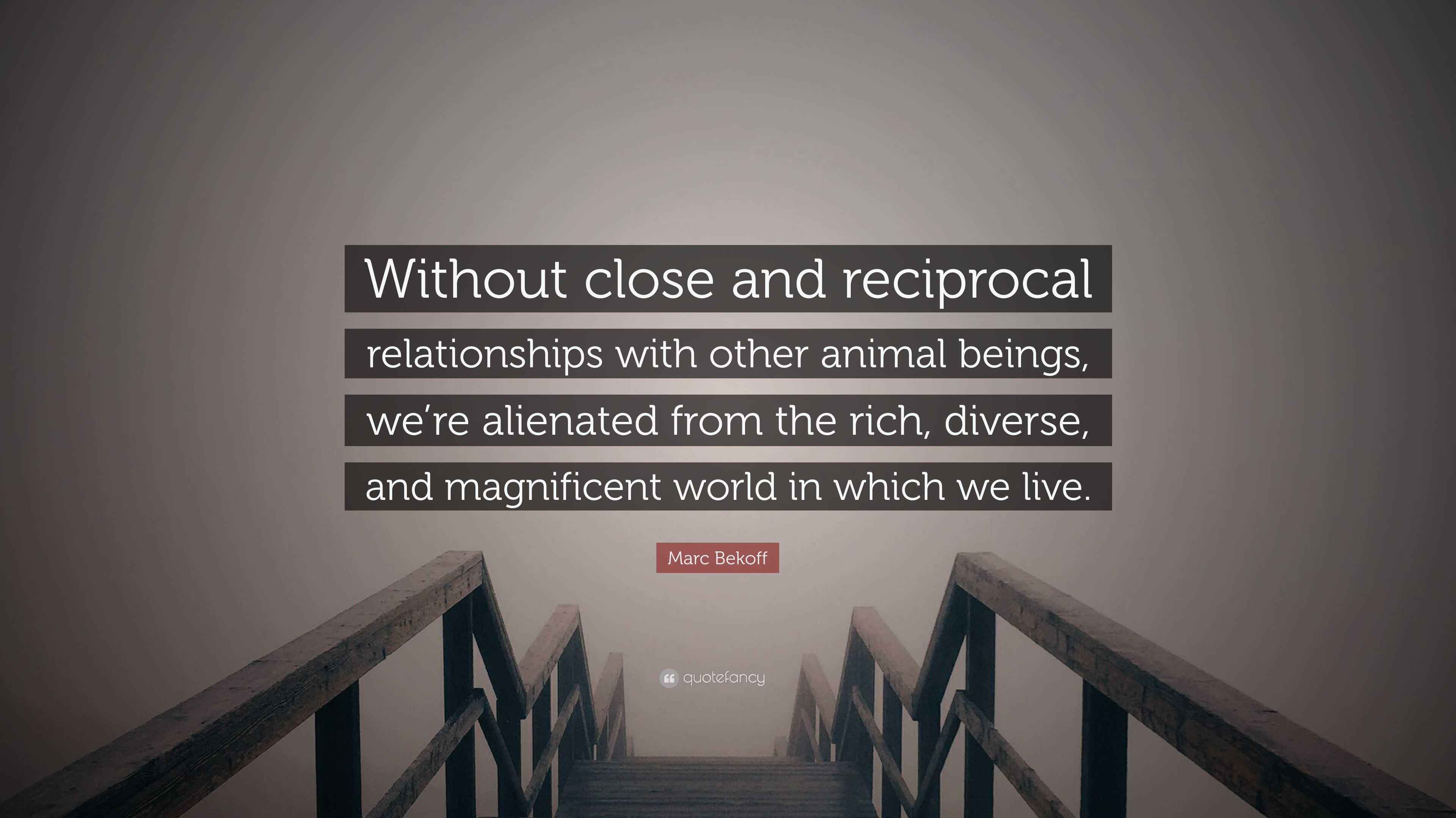 Marc Bekoff Quote: “Without close and reciprocal relationships with ...