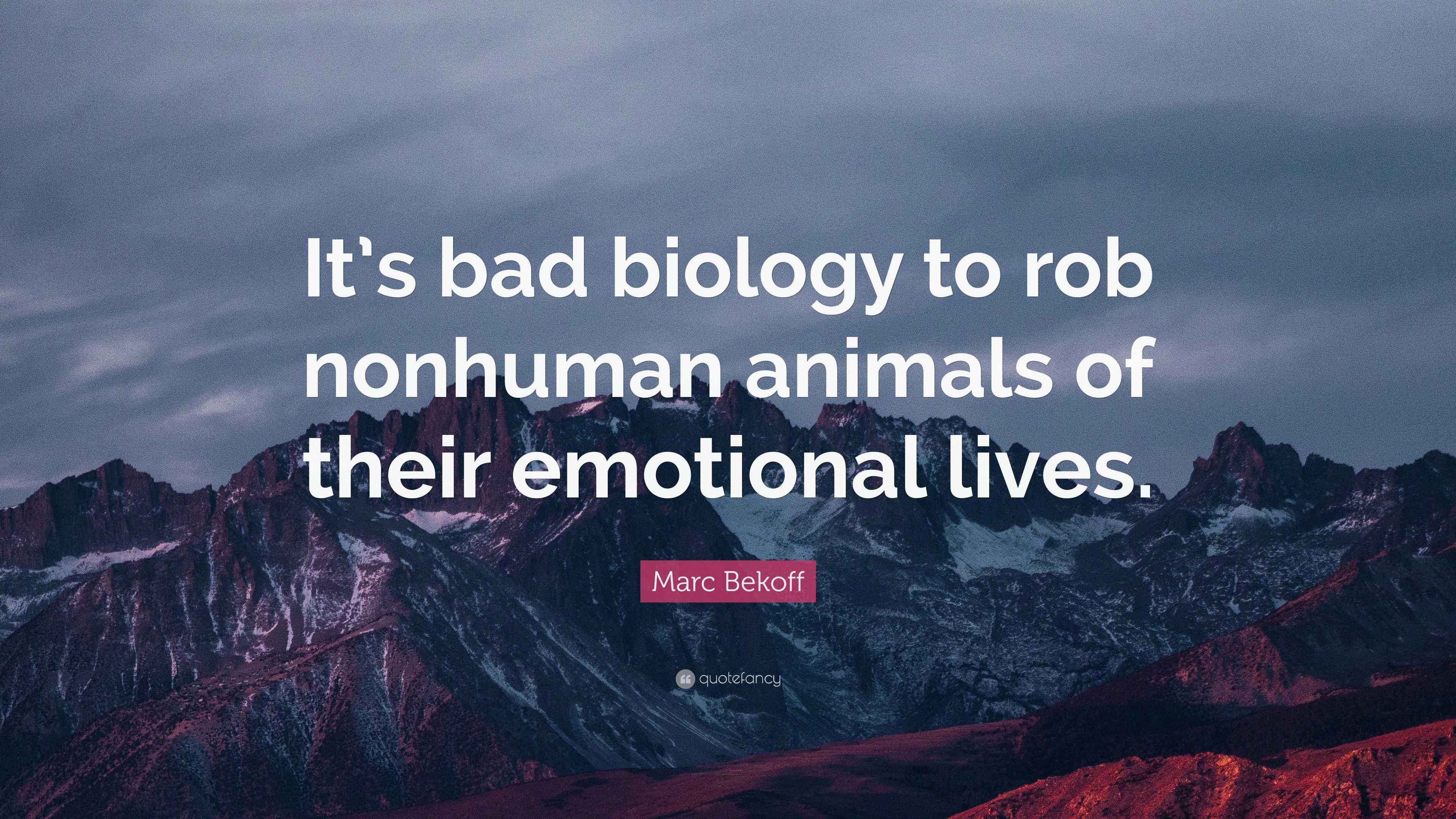 Marc Bekoff Quote: “It’s bad biology to rob nonhuman animals of their ...