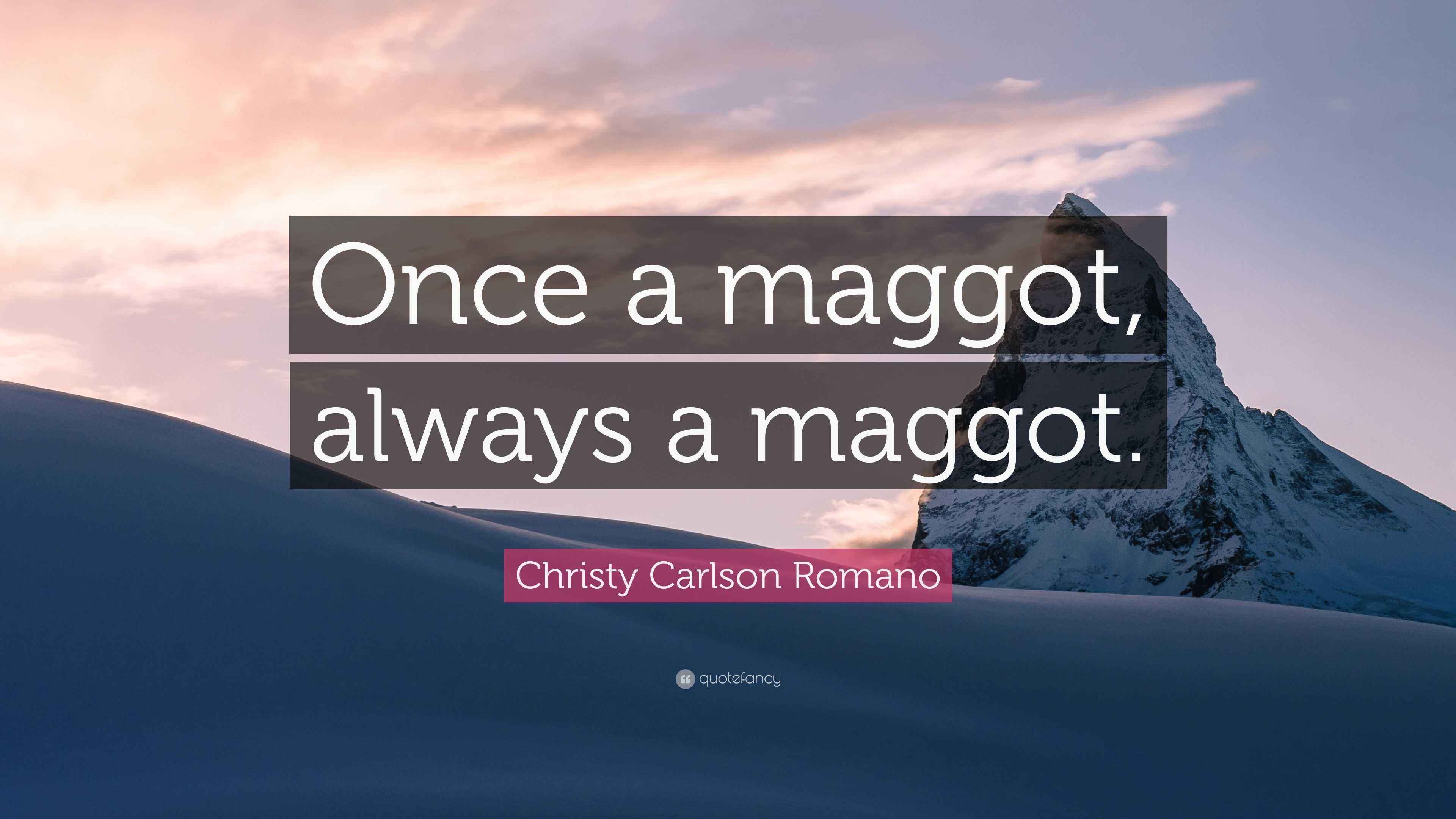 Christy Carlson Romano Quote: “Once a maggot, always a maggot.”