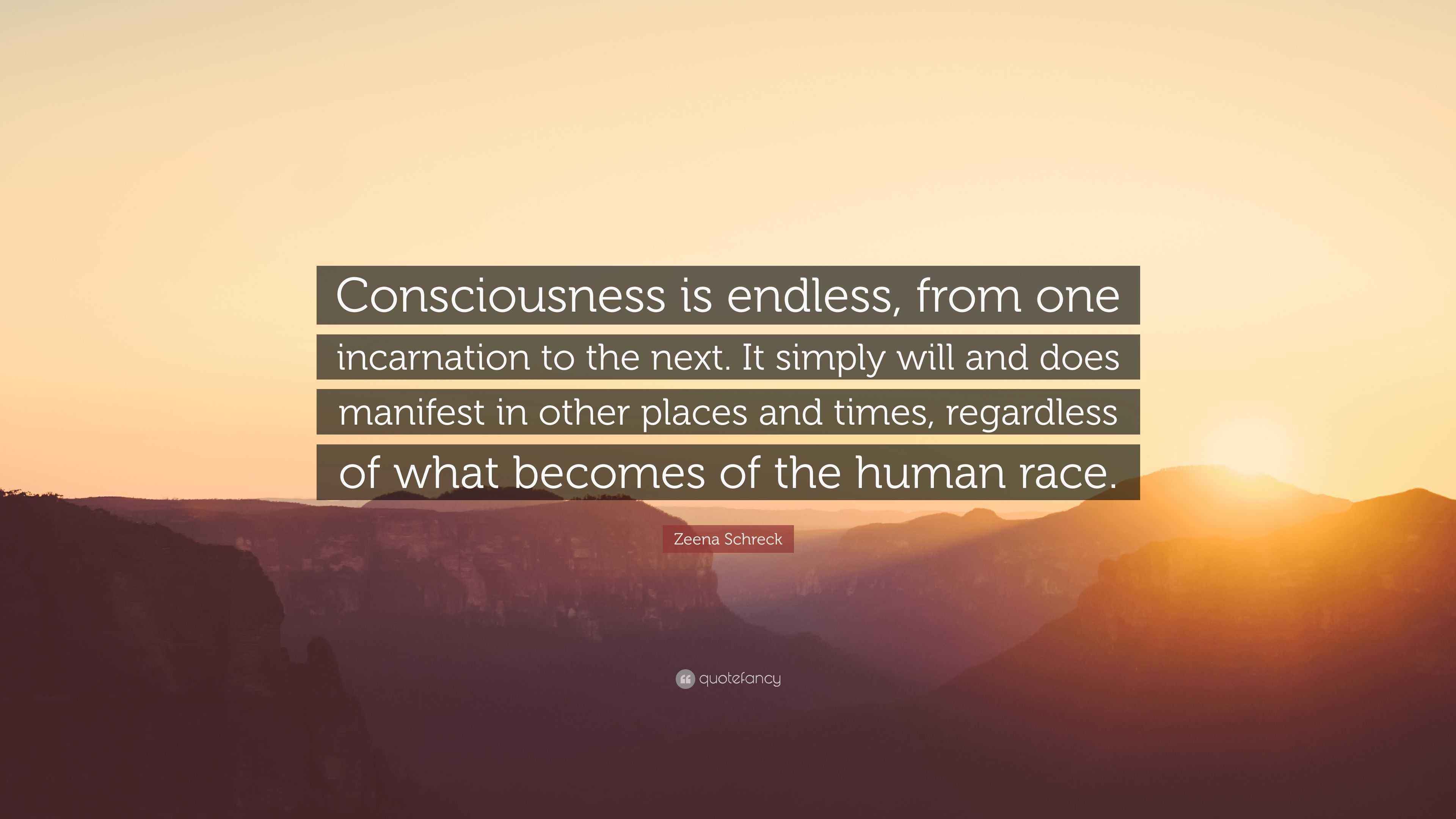 Zeena Schreck Quote: “Consciousness is endless, from one incarnation to ...