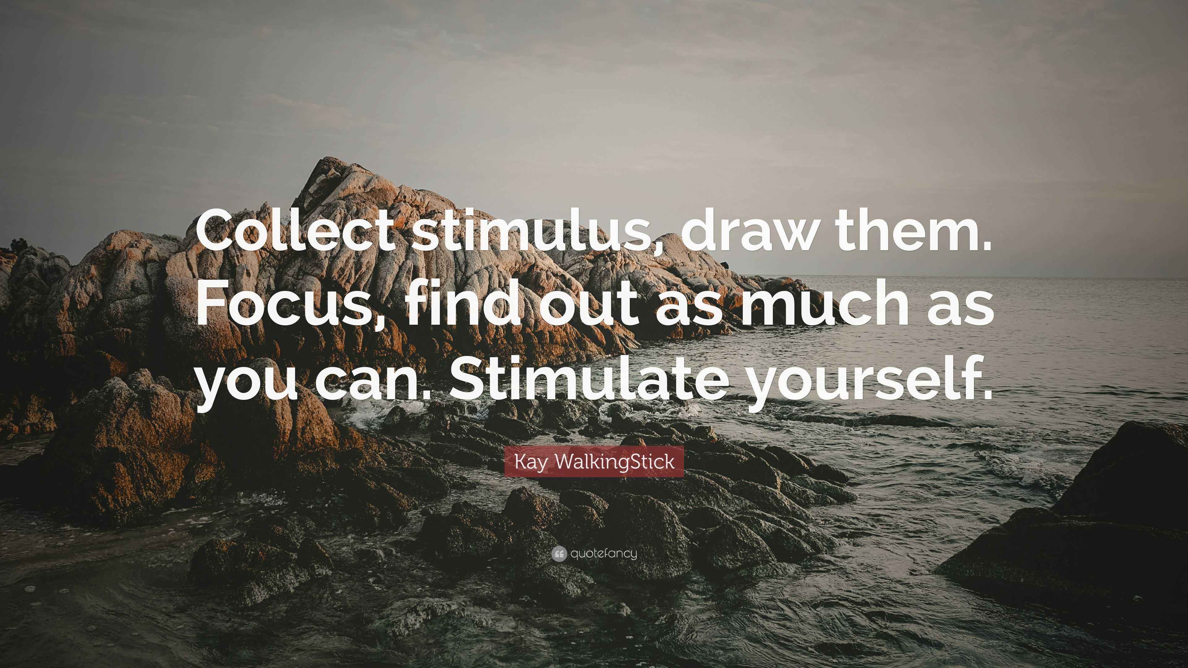 Kay WalkingStick Quote: “Collect stimulus, draw them. Focus, find out ...