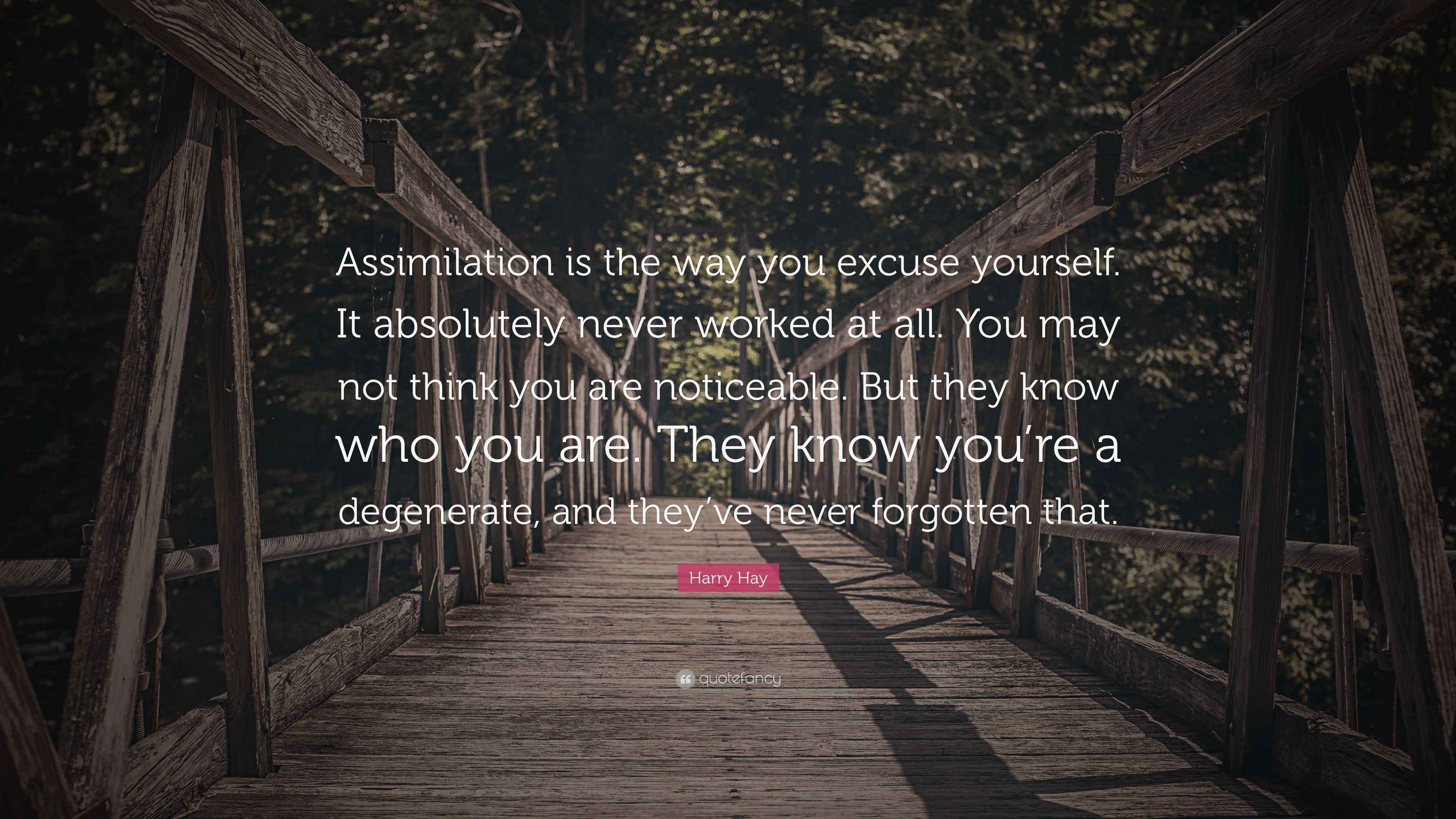 Harry Hay Quote: “Assimilation is the way you excuse yourself. It ...