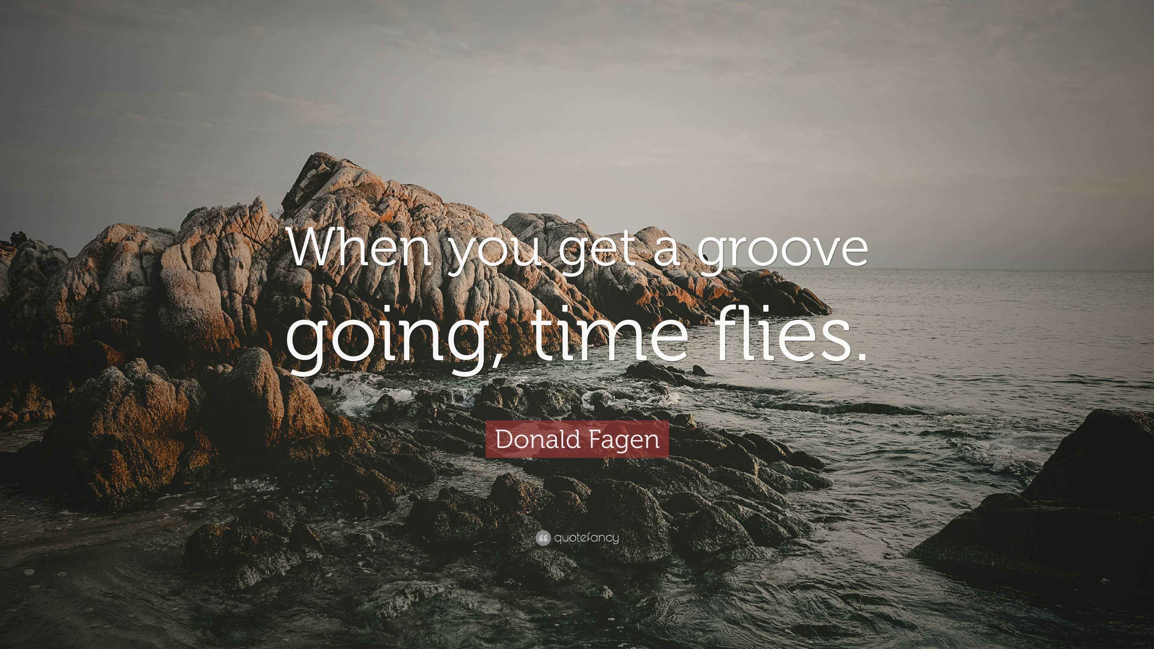 Donald Fagen Quote: “When you get a groove going, time flies.”