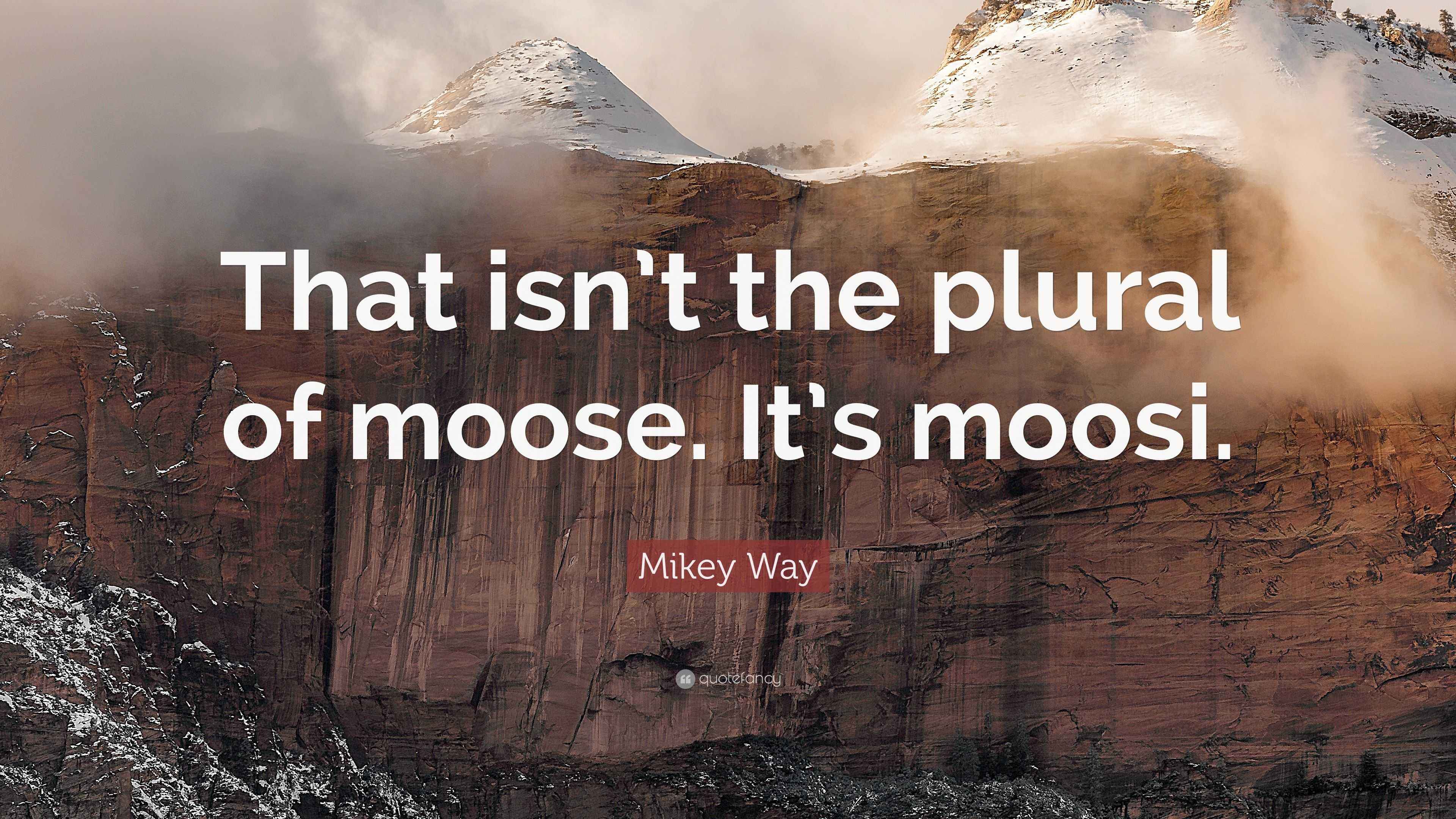Mikey Way Quote: “That isn’t the plural of moose. It’s moosi.”