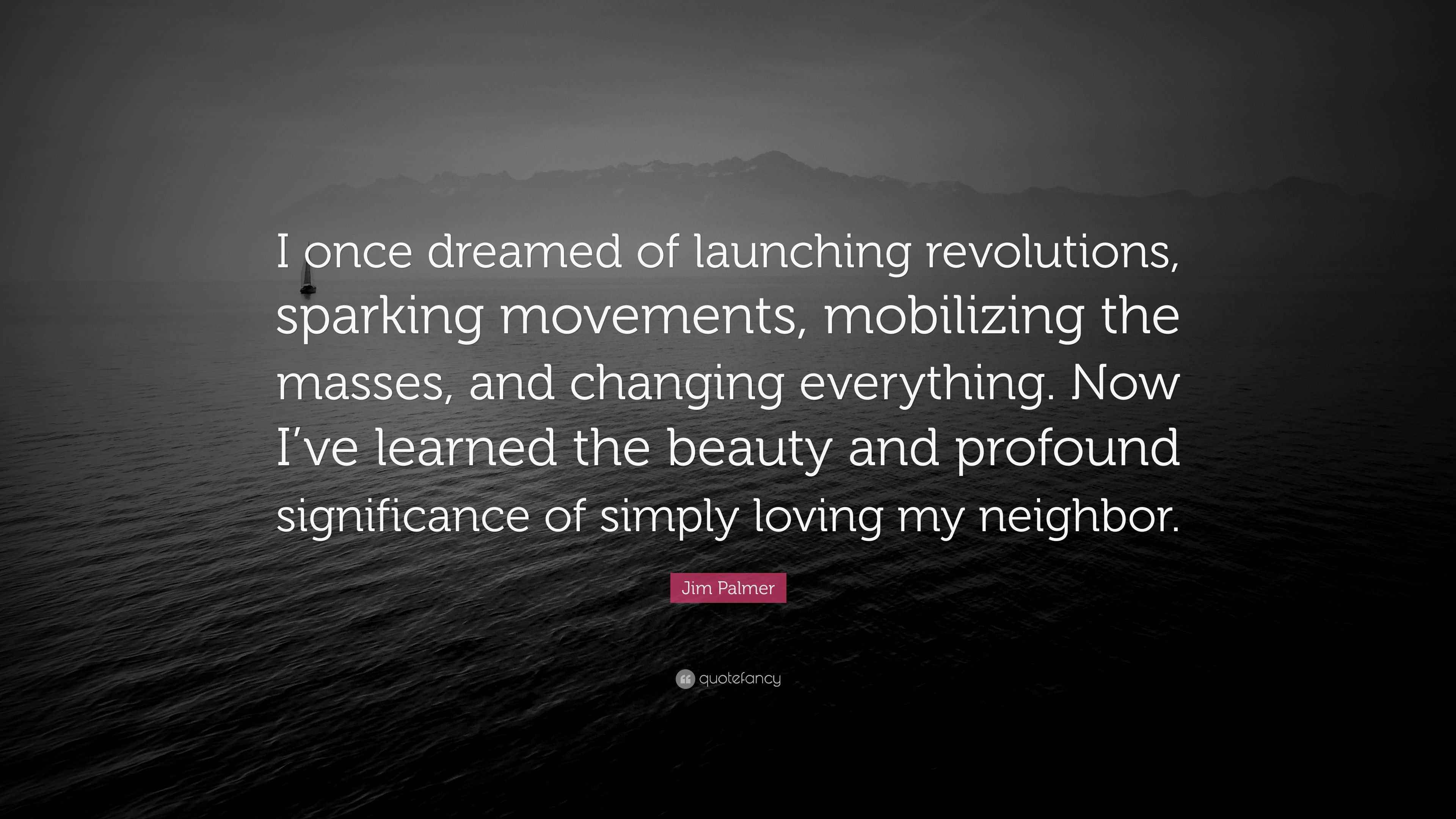 Jim Palmer Quote: “I once dreamed of launching revolutions, sparking ...