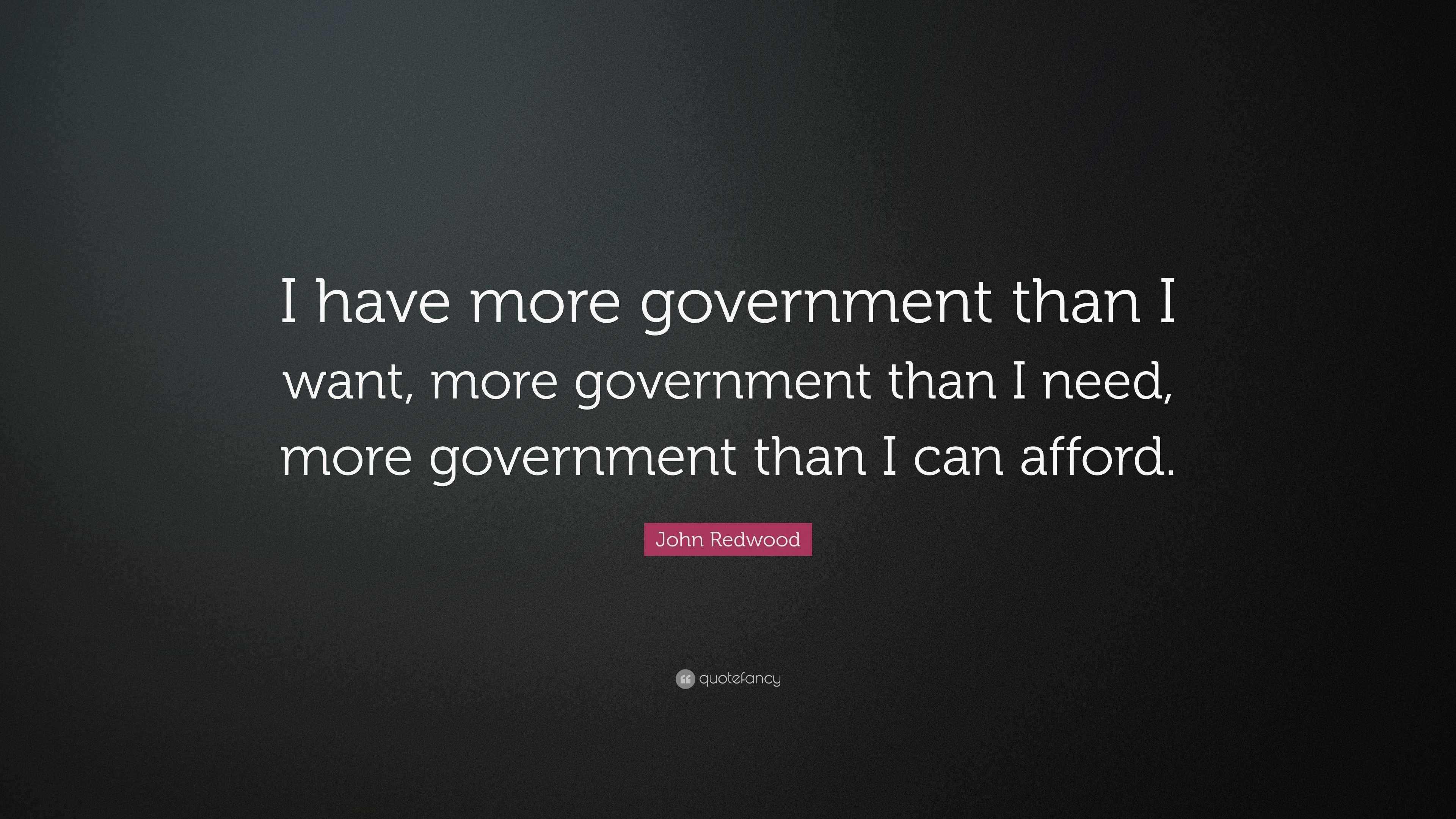 John Redwood Quote: “I have more government than I want, more ...