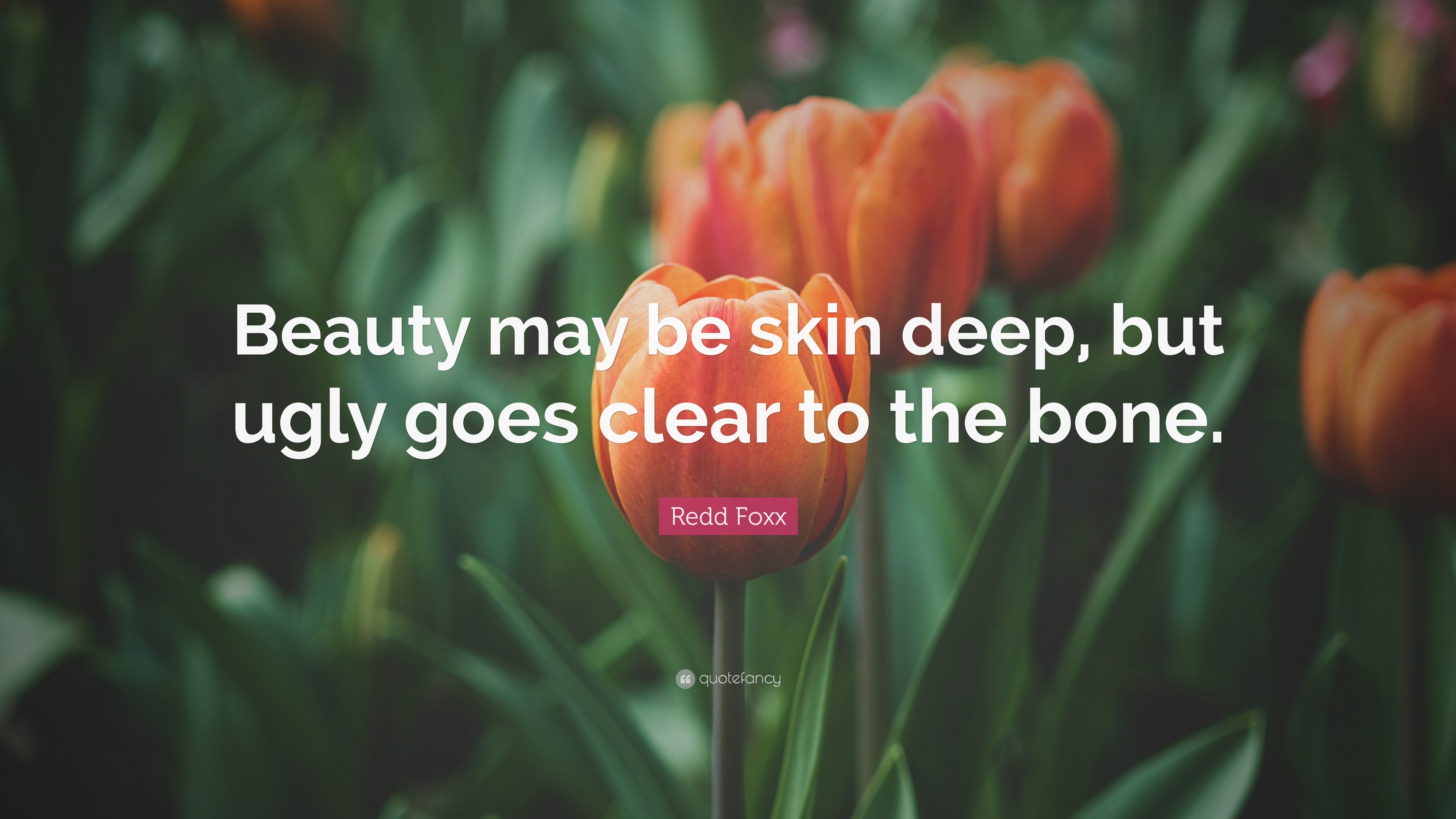 Redd Foxx Quote: “Beauty may be skin deep, but ugly goes clear to the bone.”