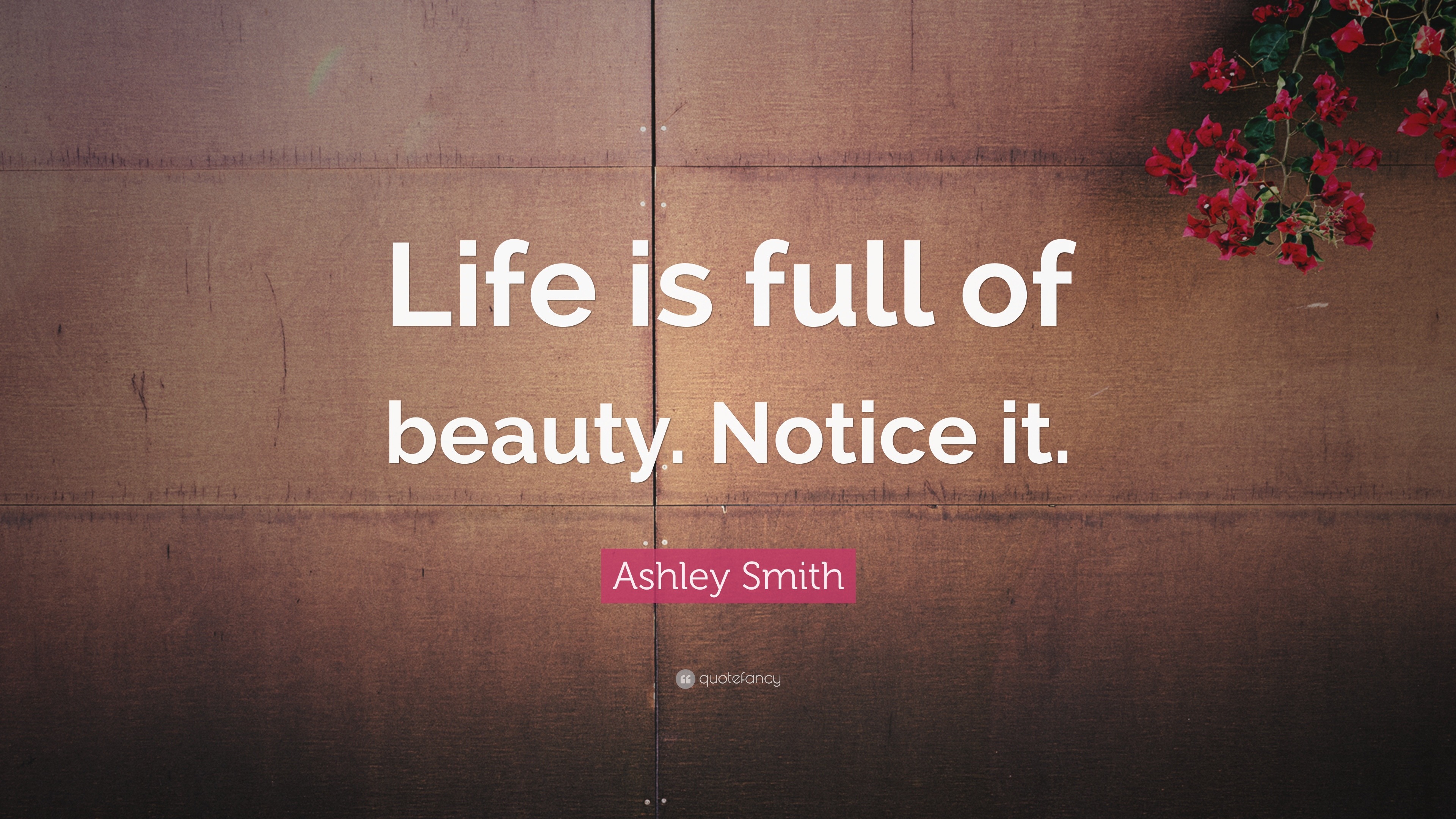 Ashley Smith Quote: “Life is full of beauty. Notice it.”