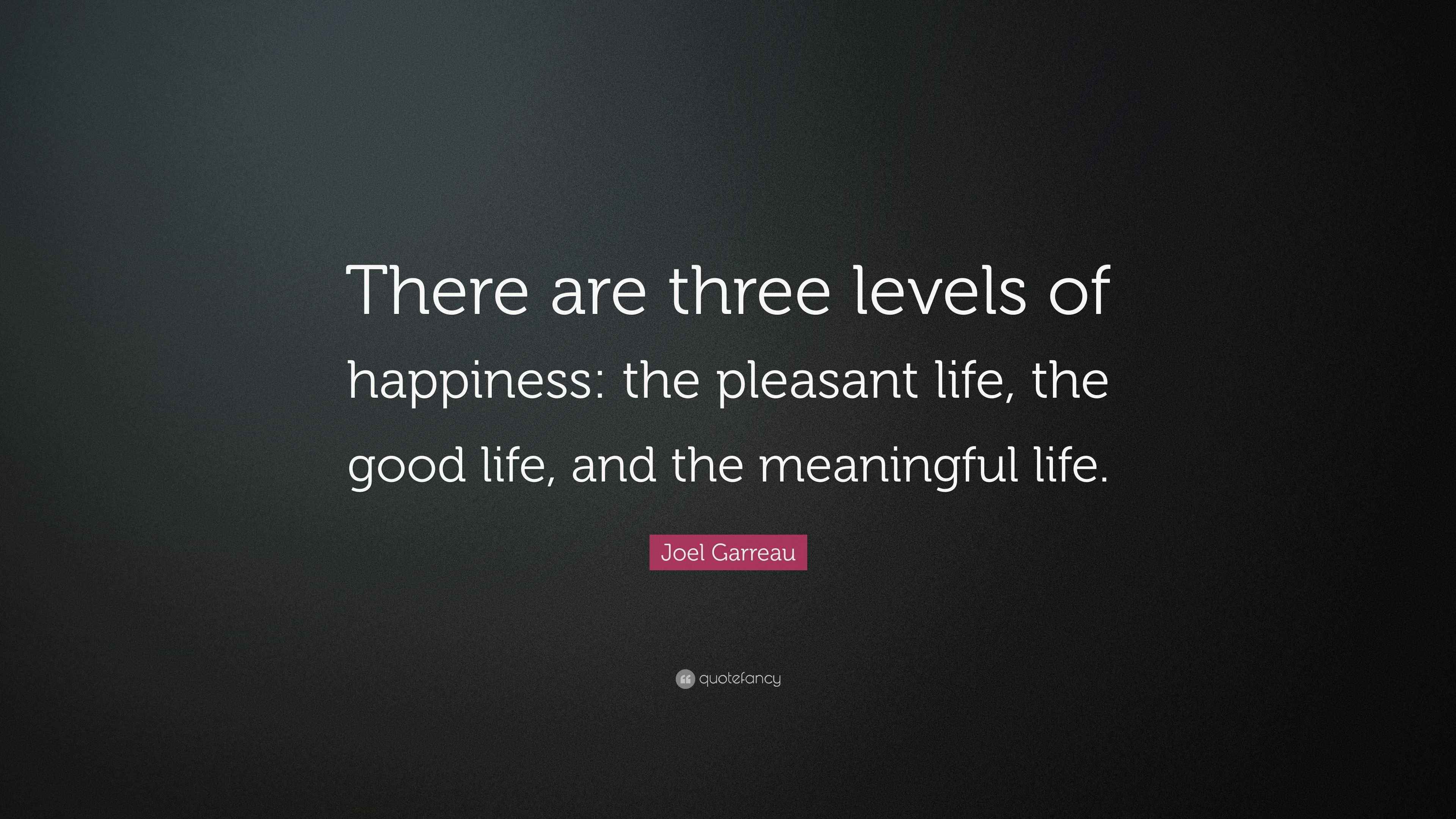 Joel Garreau Quote: “There are three levels of happiness: the pleasant ...