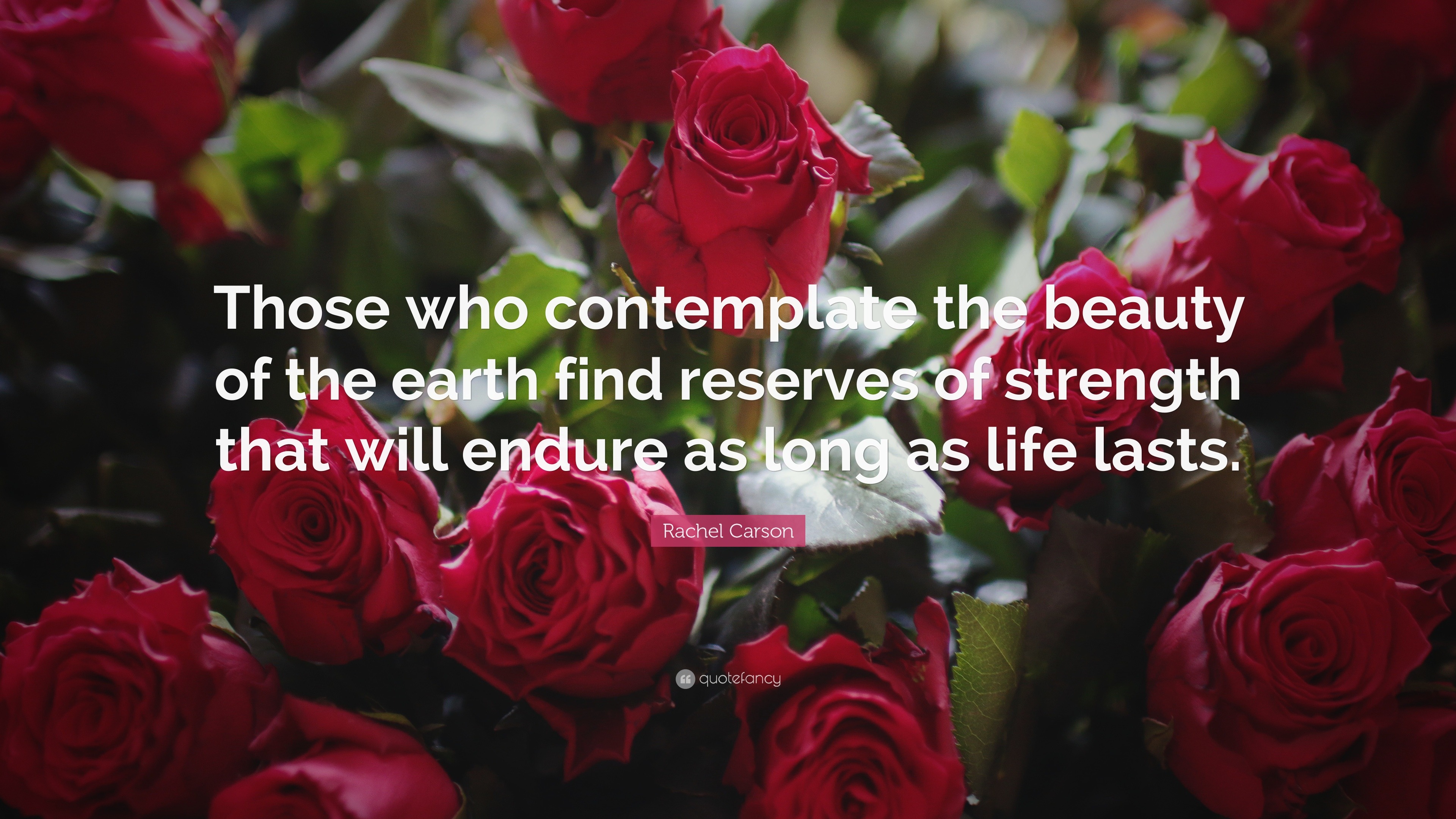 Rachel Carson Inspirational Quotes
