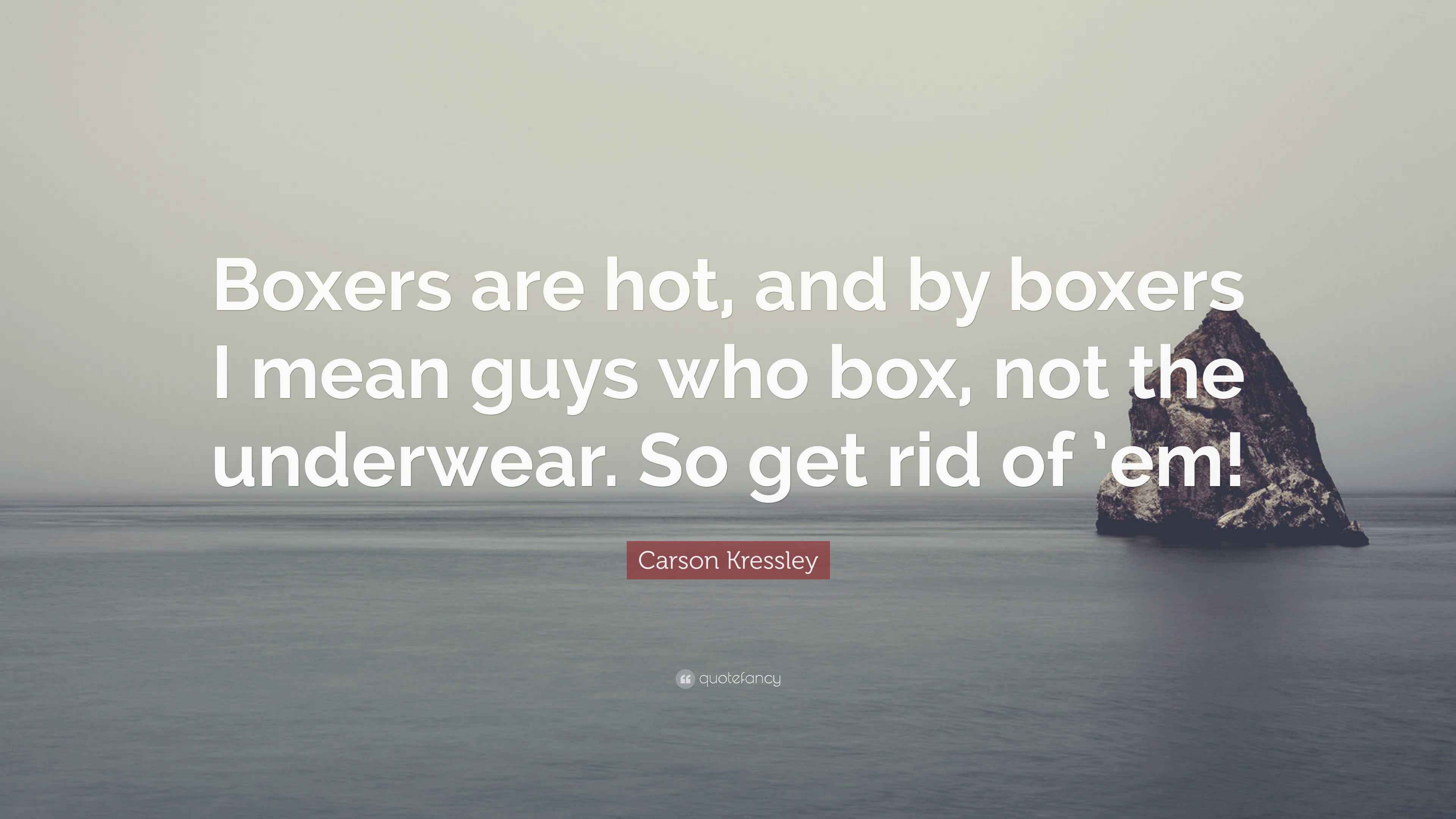 Carson Kressley Quote: “Boxers are hot, and by boxers I mean guys who ...