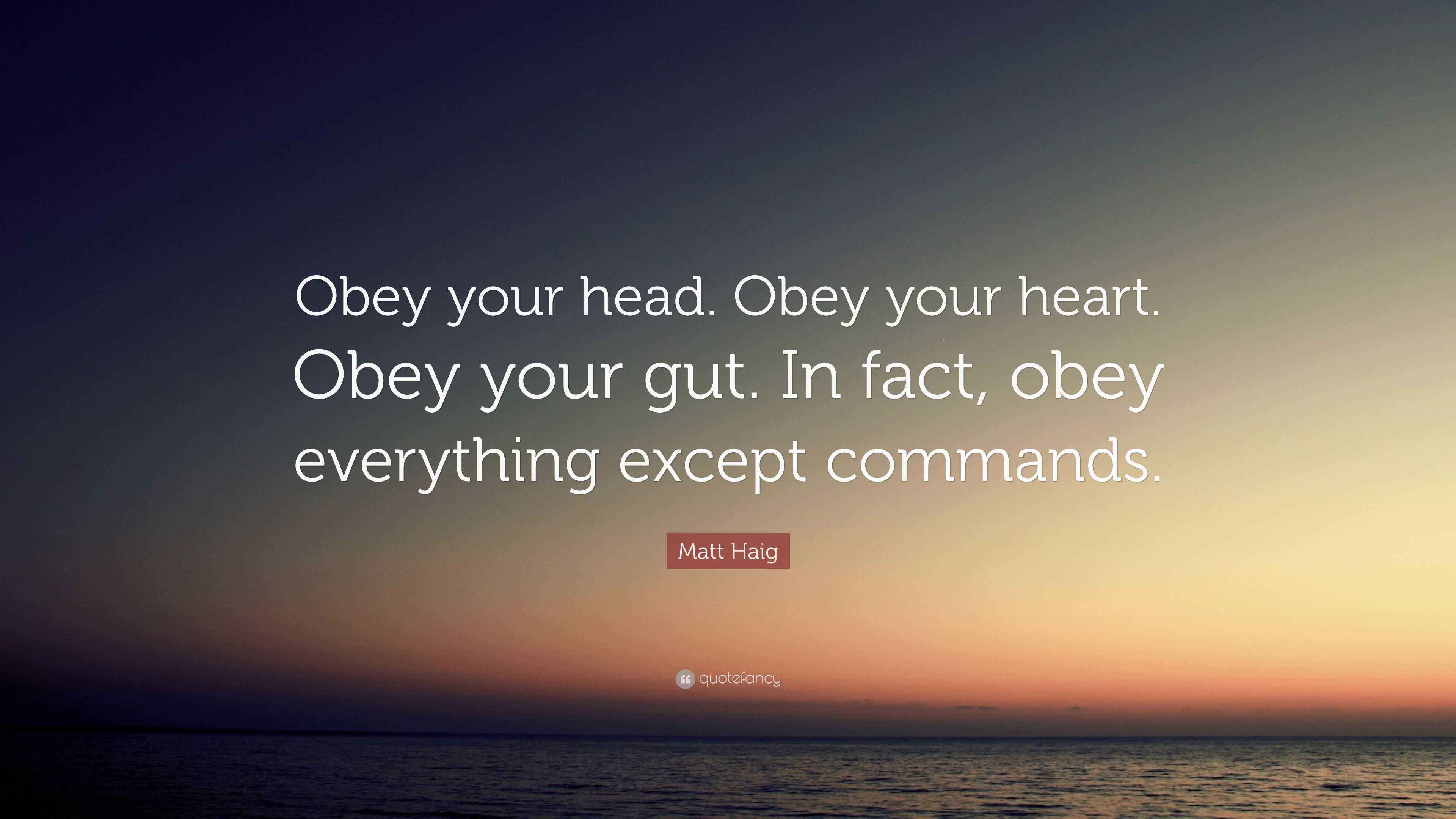 Matt Haig Quote: “Obey your head. Obey your heart. Obey your gut. In ...