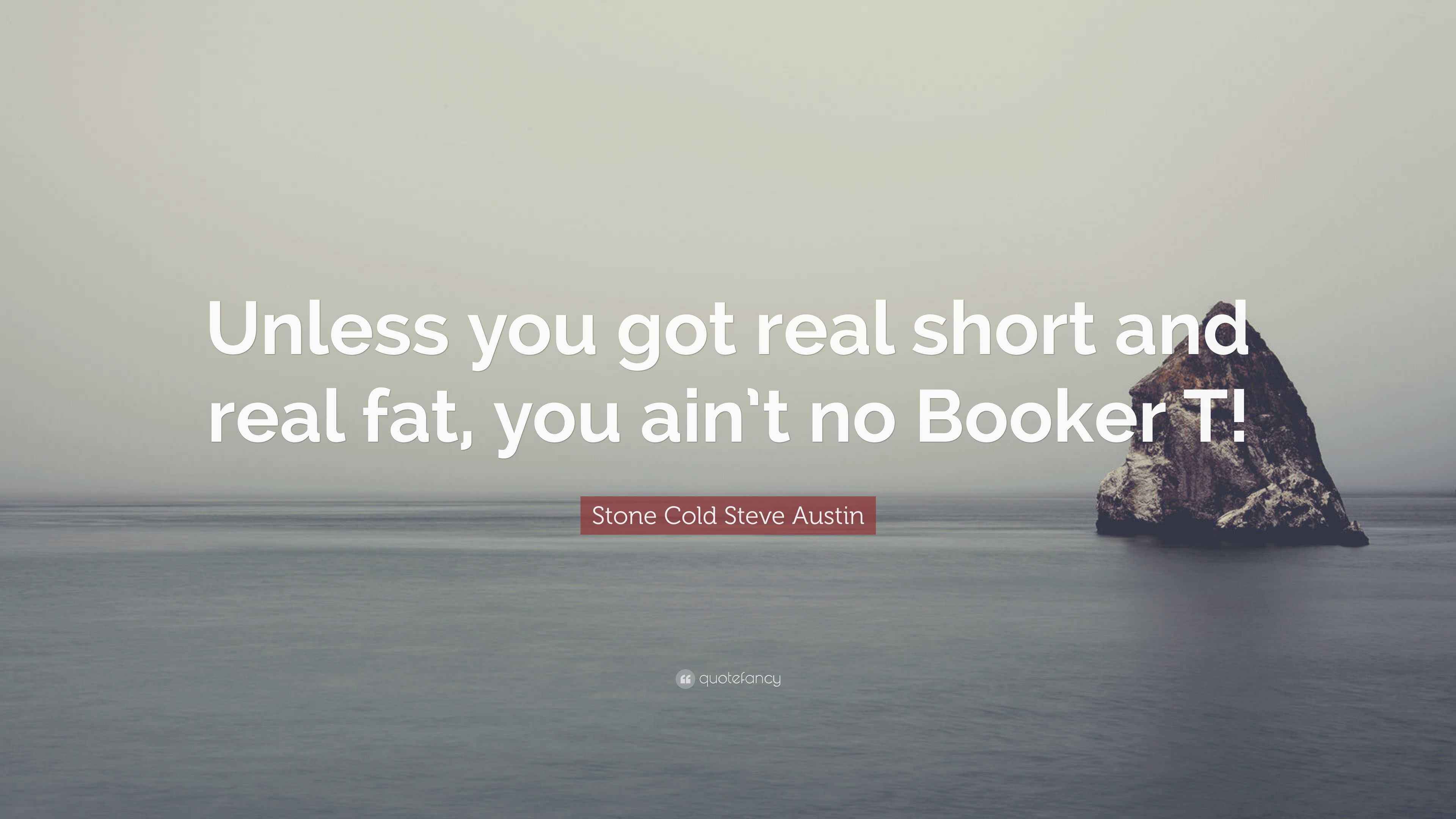 Stone Cold Steve Austin Quote: “Unless you got real short and real fat ...