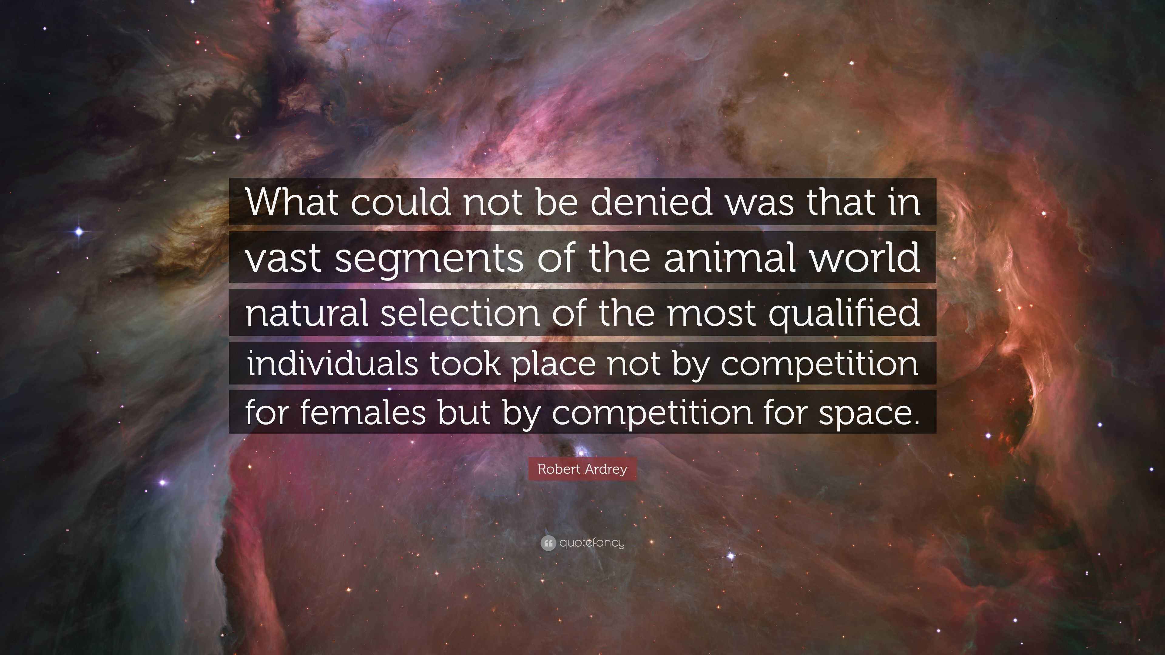 Robert Ardrey Quote: “What could not be denied was that in vast ...