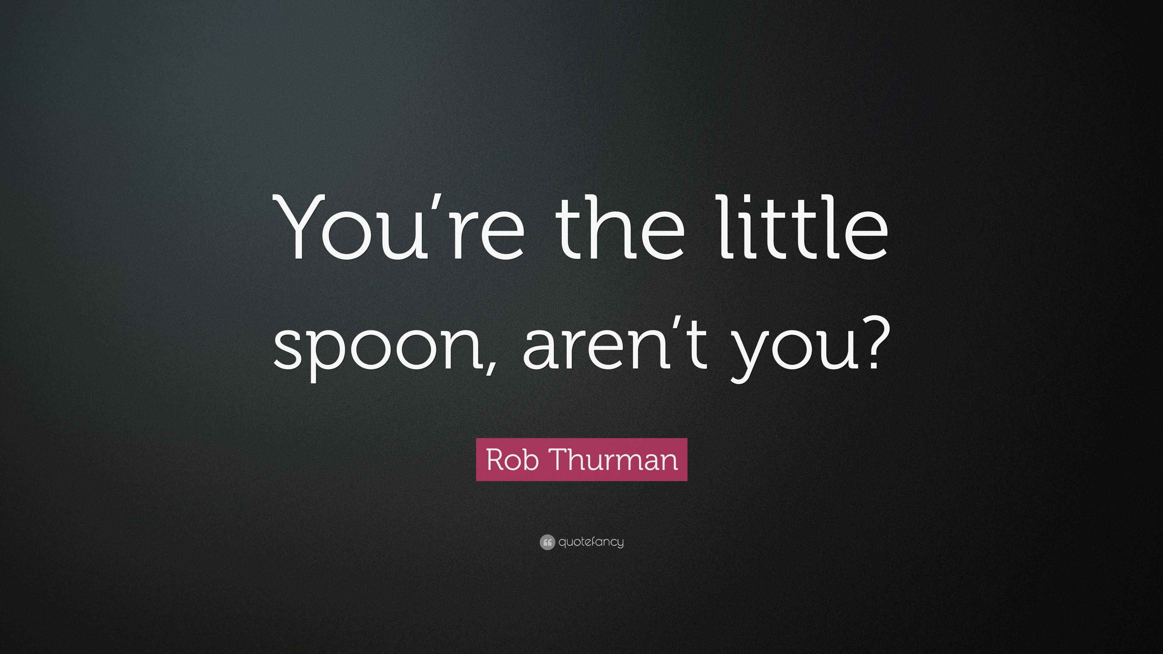 Rob Thurman Quote: “You’re the little spoon, aren’t you?”