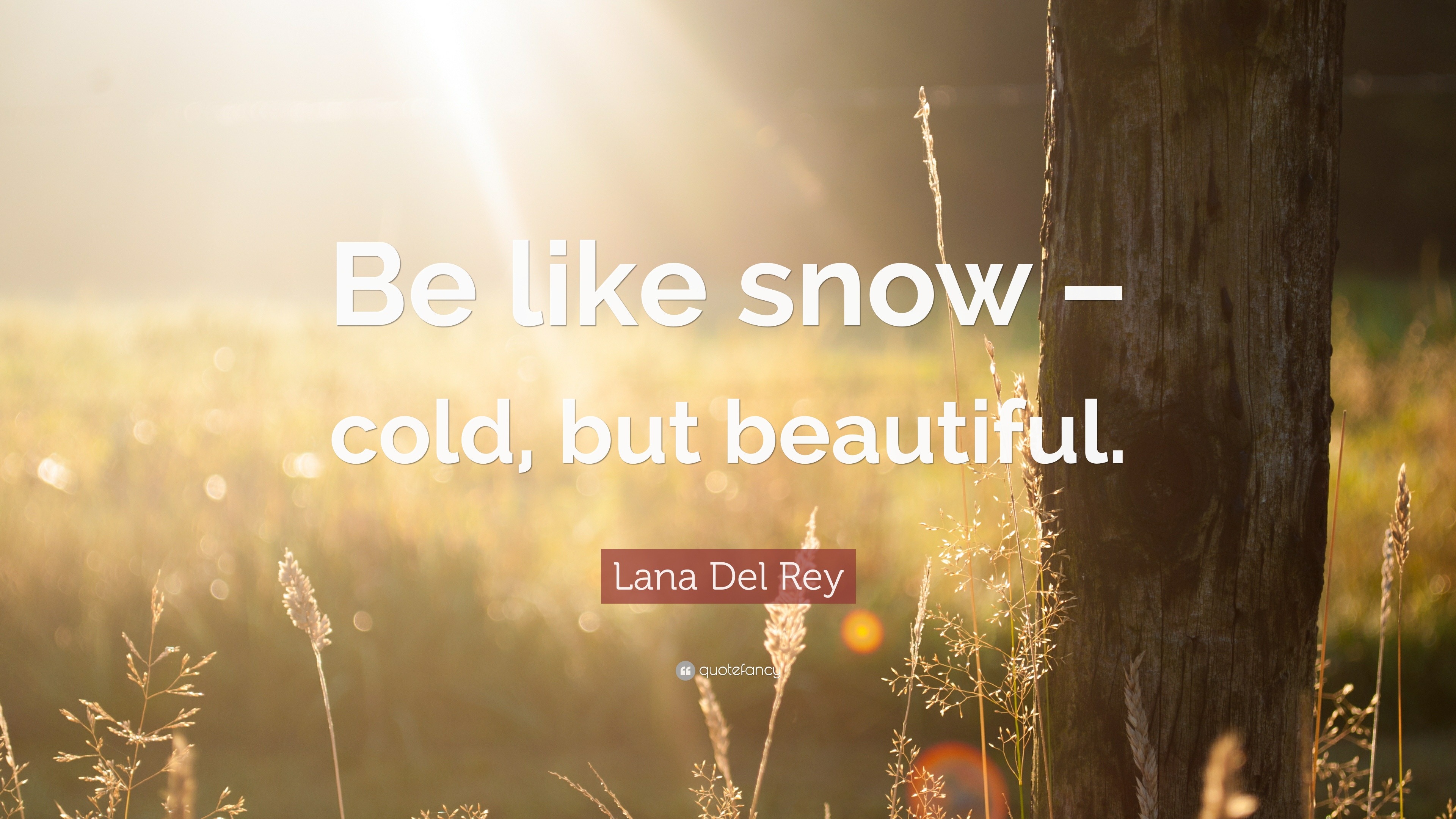 Lana Del Rey Quote: “Be like snow – cold, but beautiful.”