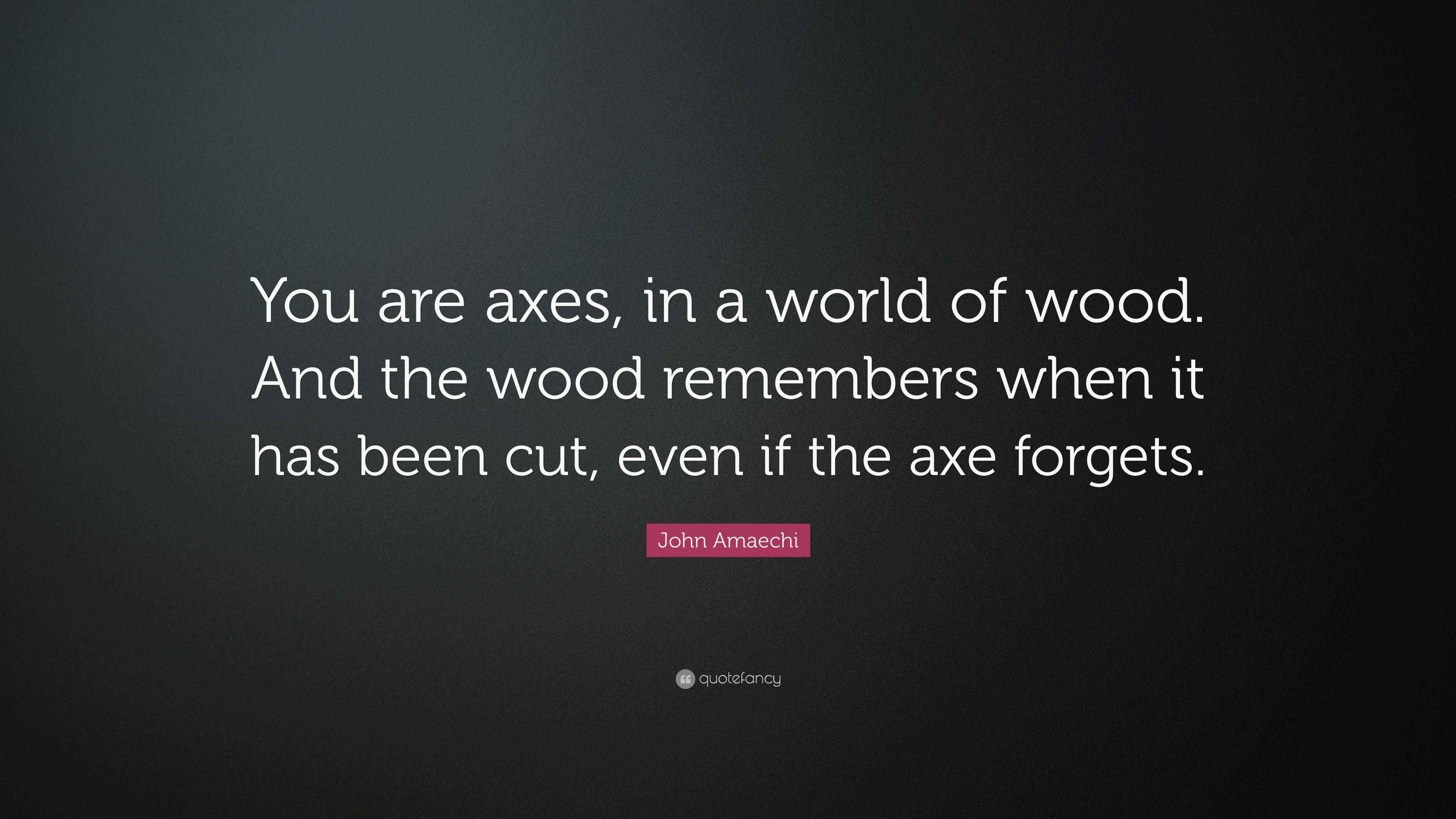 John Amaechi Quote: “You are axes, in a world of wood. And the wood ...