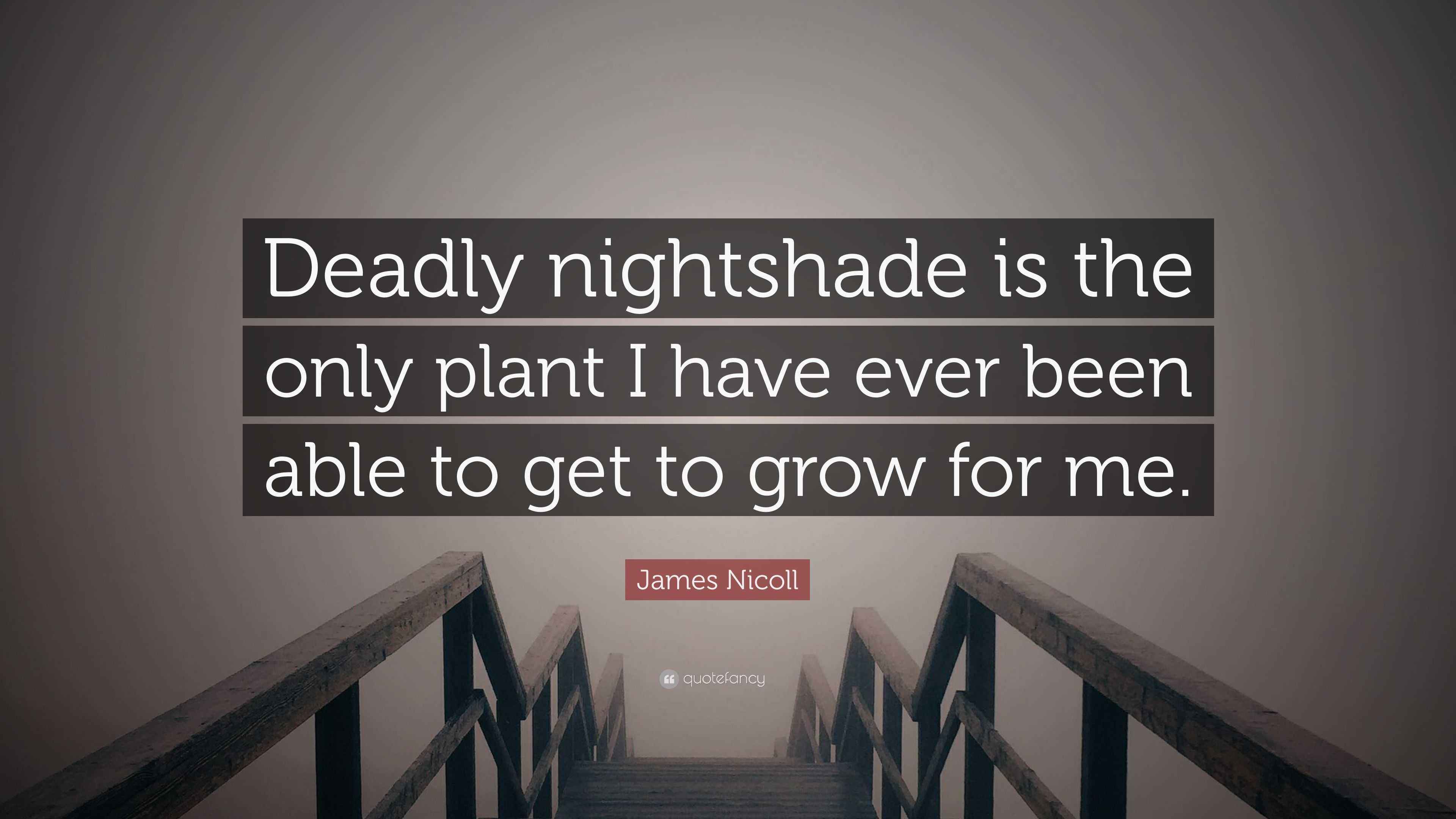 James Nicoll Quote: “Deadly nightshade is the only plant I have ever ...