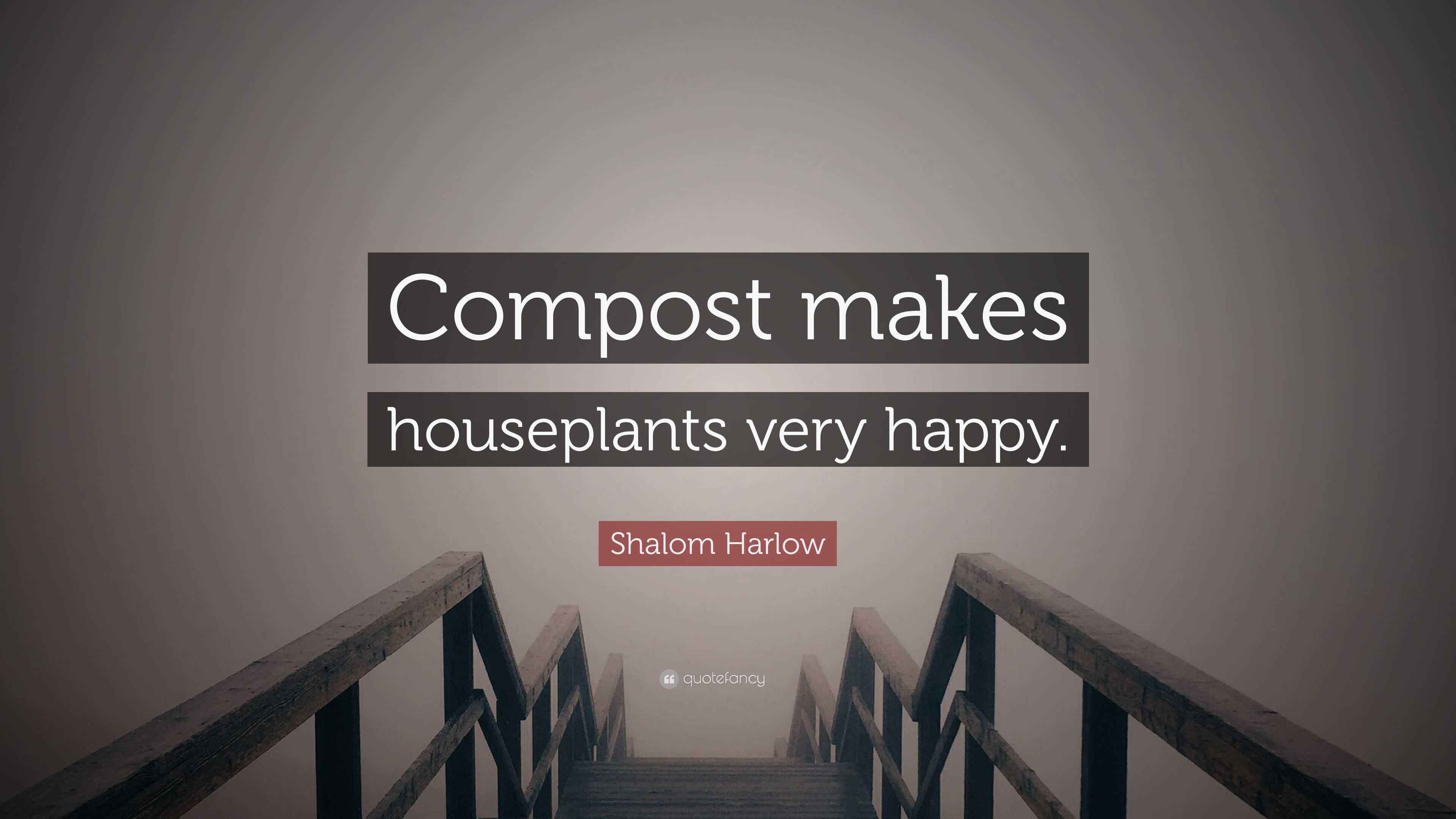 Shalom Harlow Quote: “Compost makes houseplants very happy.”