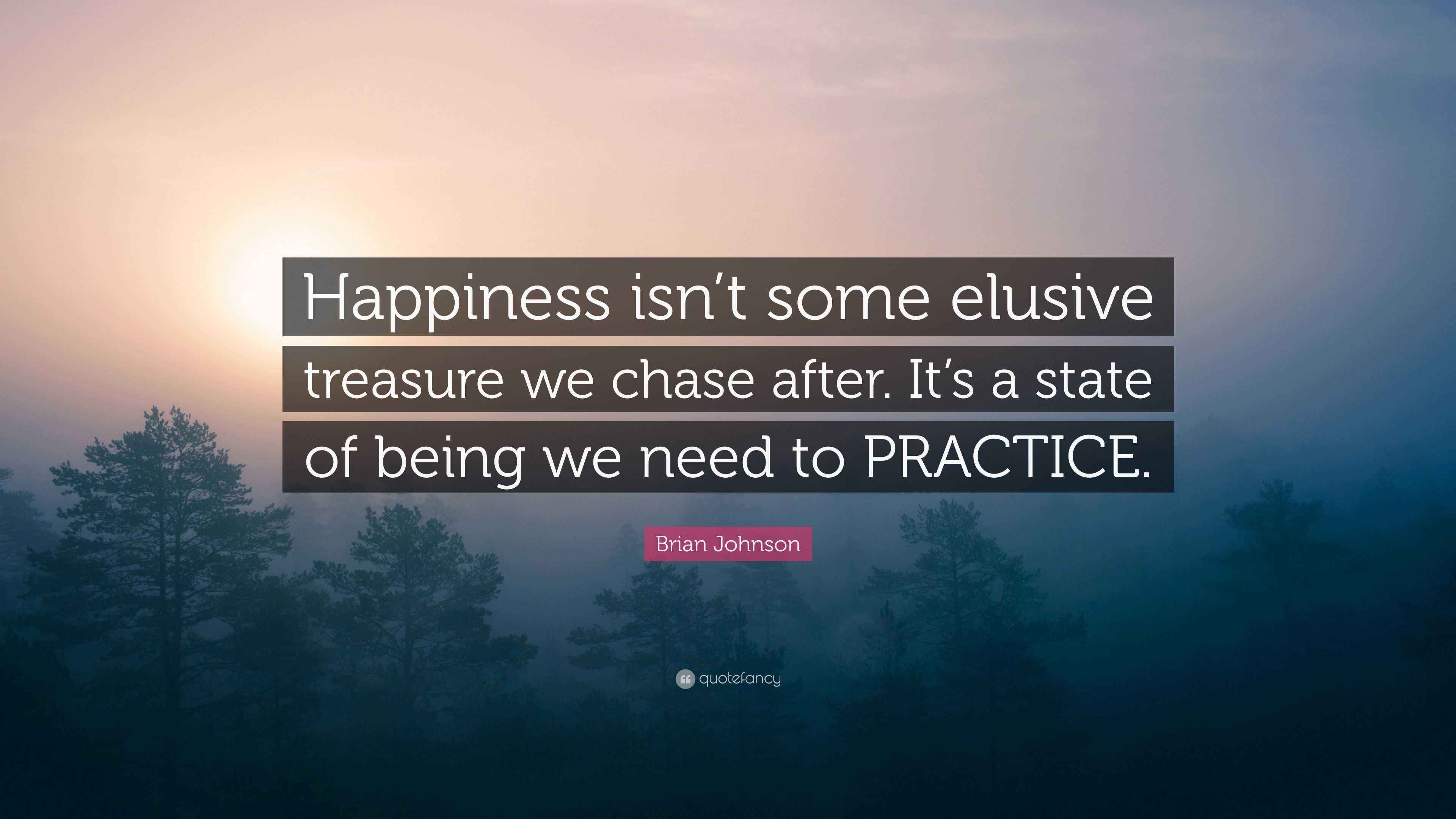 Brian Johnson Quote: “Happiness isn’t some elusive treasure we chase ...