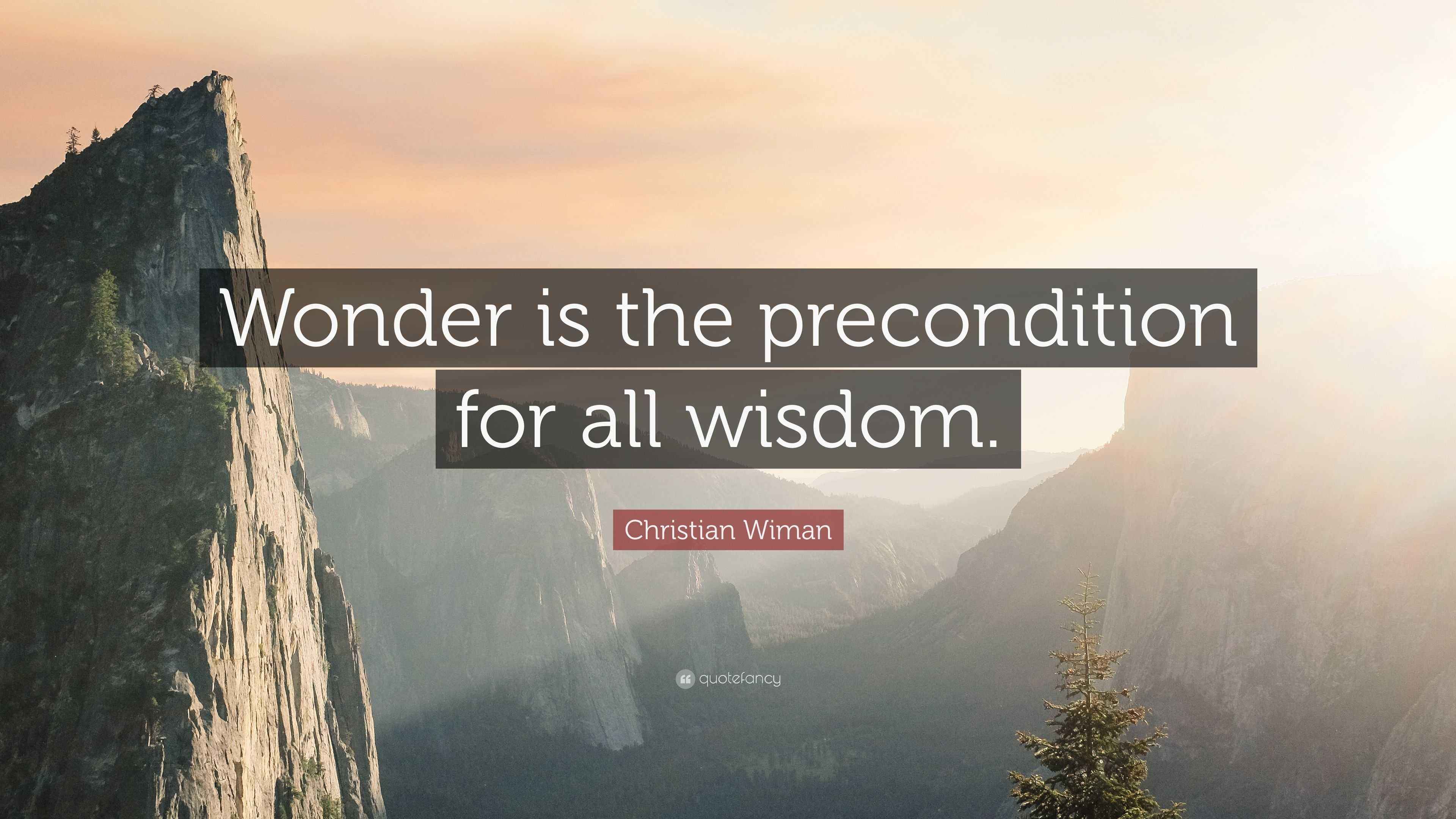 Christian Wiman Quote: “Wonder is the precondition for all wisdom.”