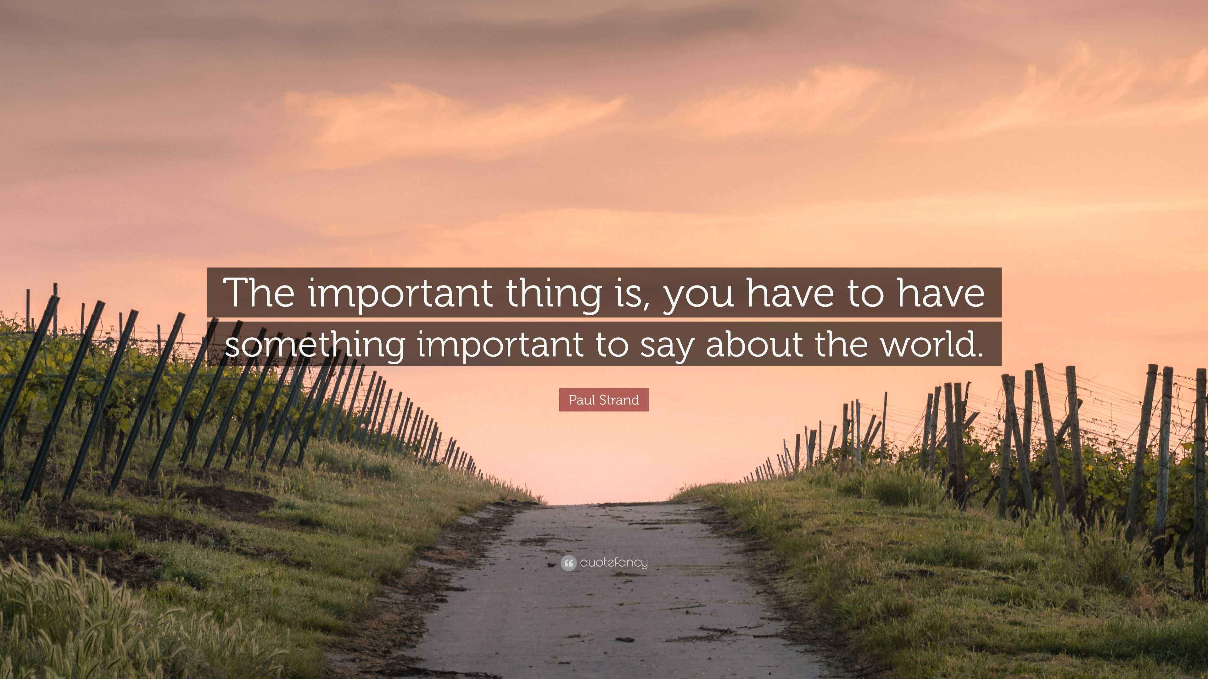 Paul Strand Quote: “The important thing is, you have to have something ...