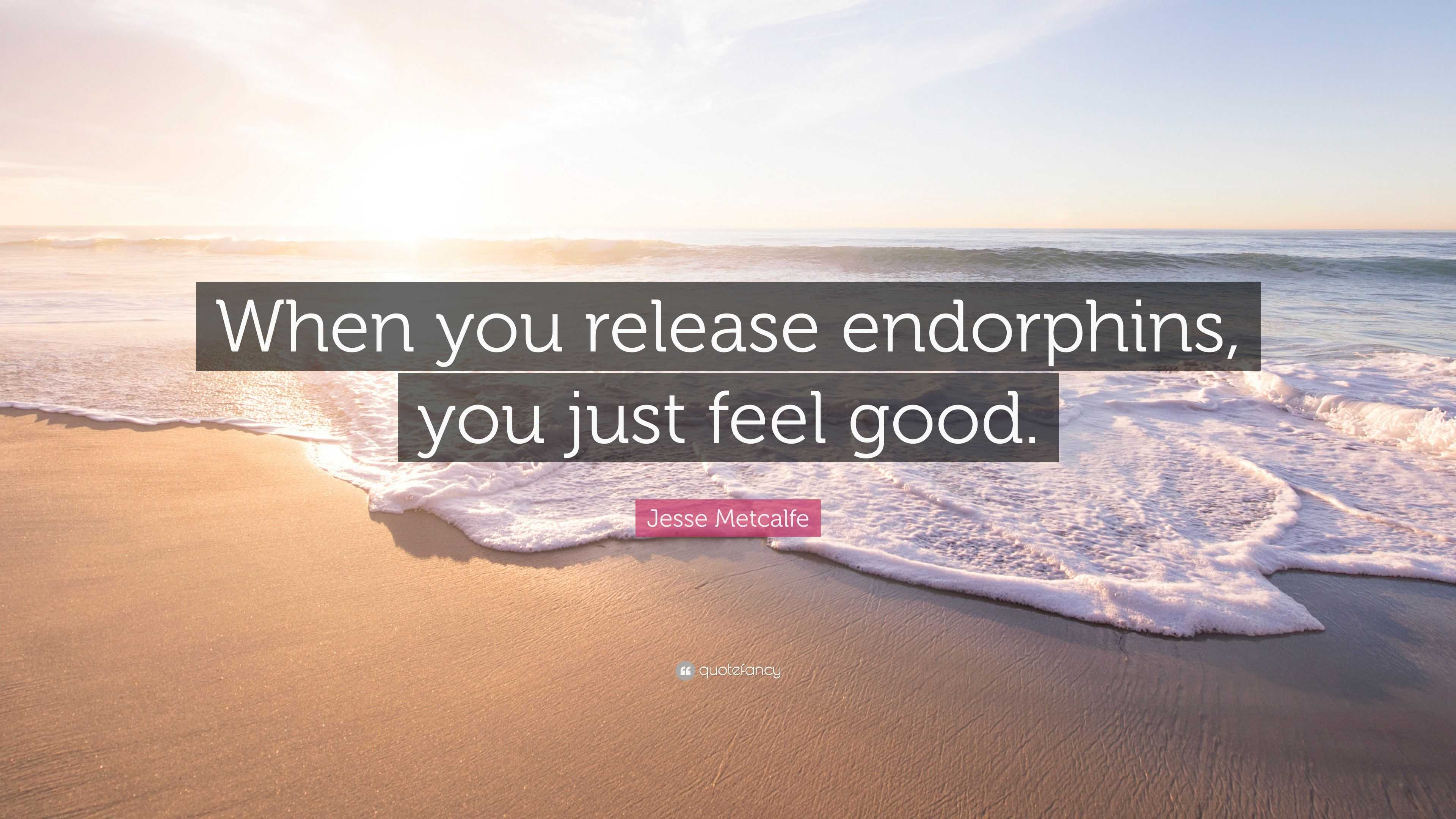 Jesse Metcalfe Quote: “When you release endorphins, you just feel good.”