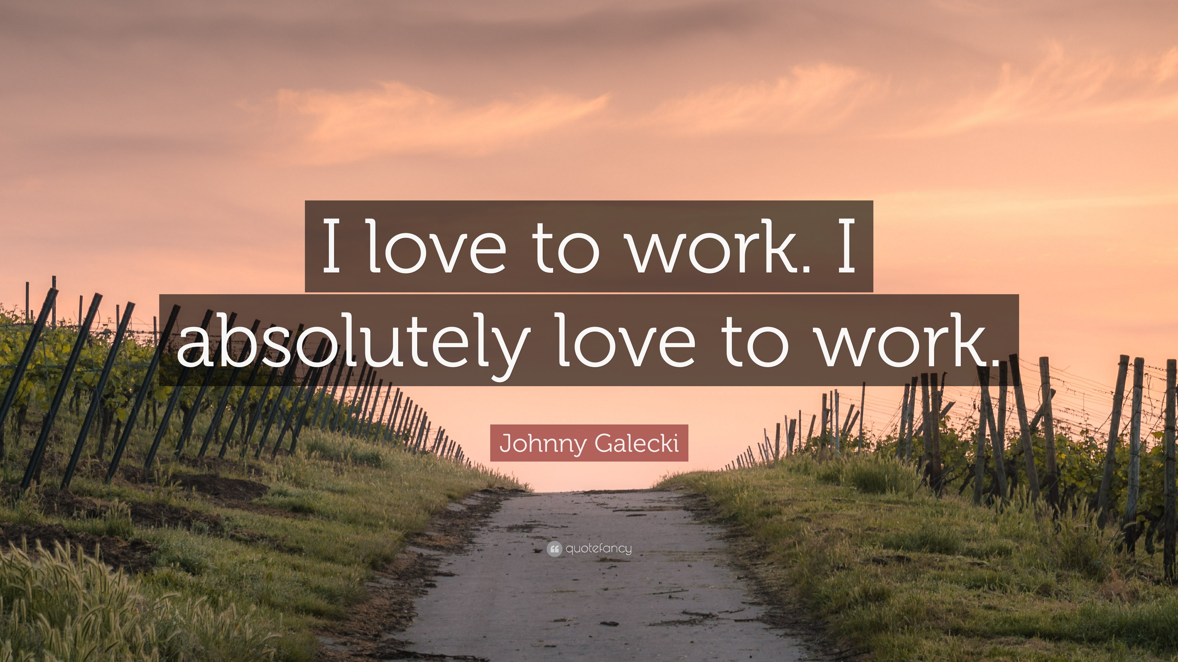 Johnny Galecki Quote: “I love to work. I absolutely love to work.”