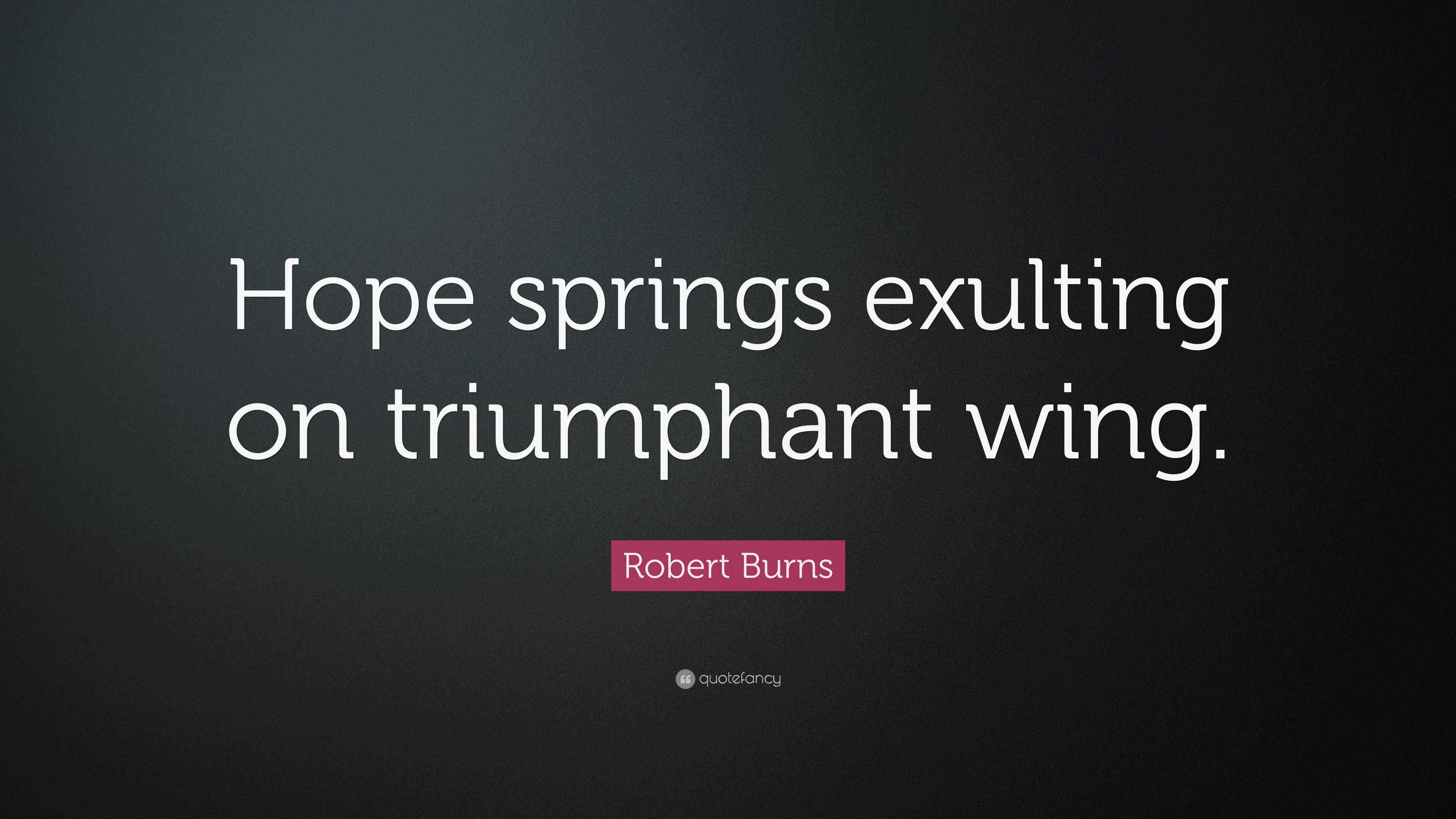 Robert Burns Quote: “Hope springs exulting on triumphant wing.”