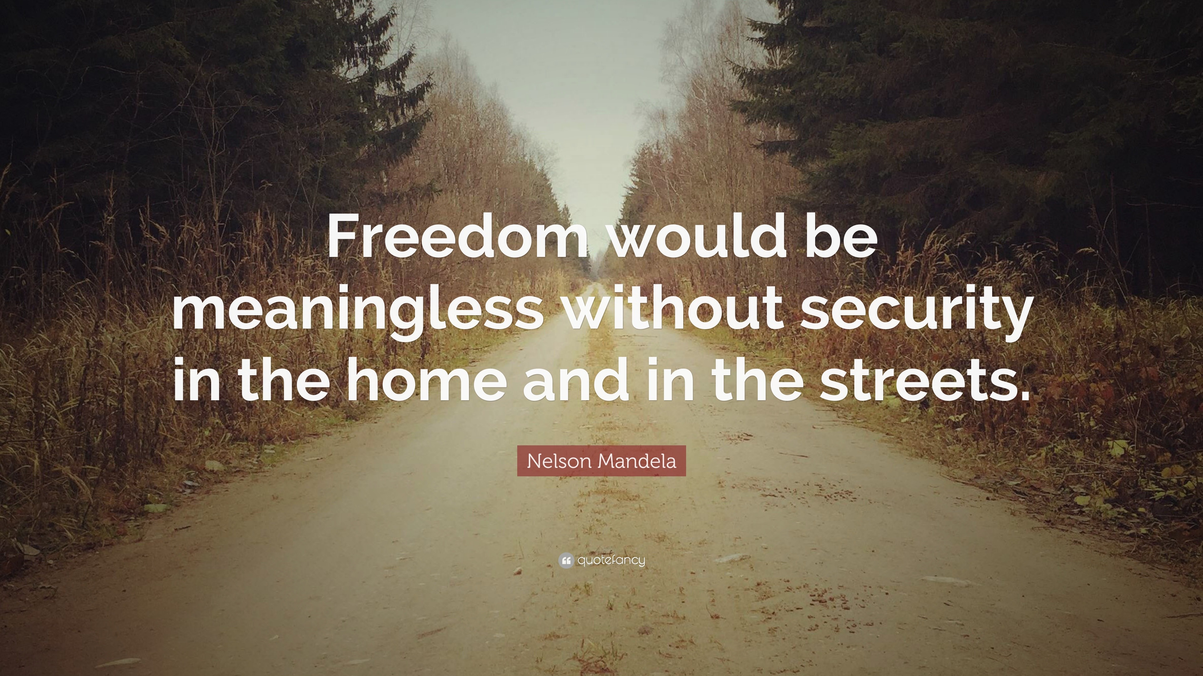 Nelson Mandela Quote: “Freedom would be meaningless without security in ...
