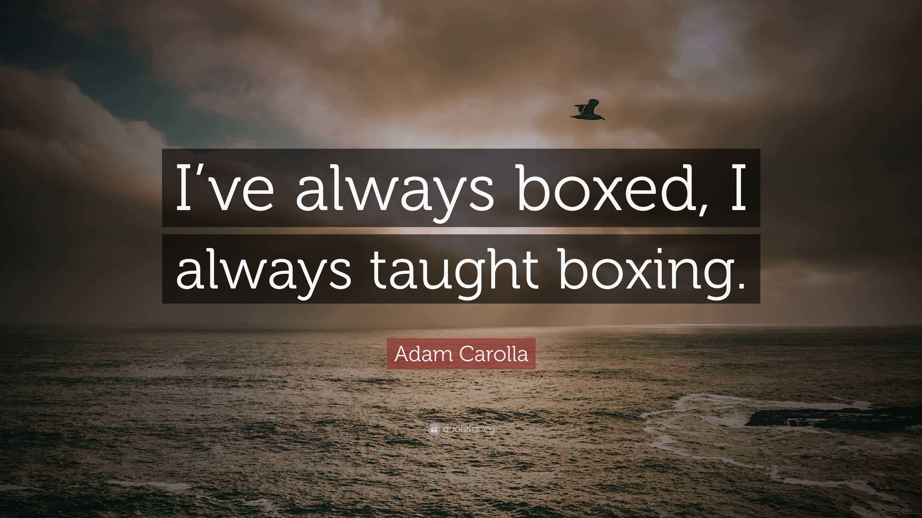 Adam Carolla Quote: “I’ve always boxed, I always taught boxing.”