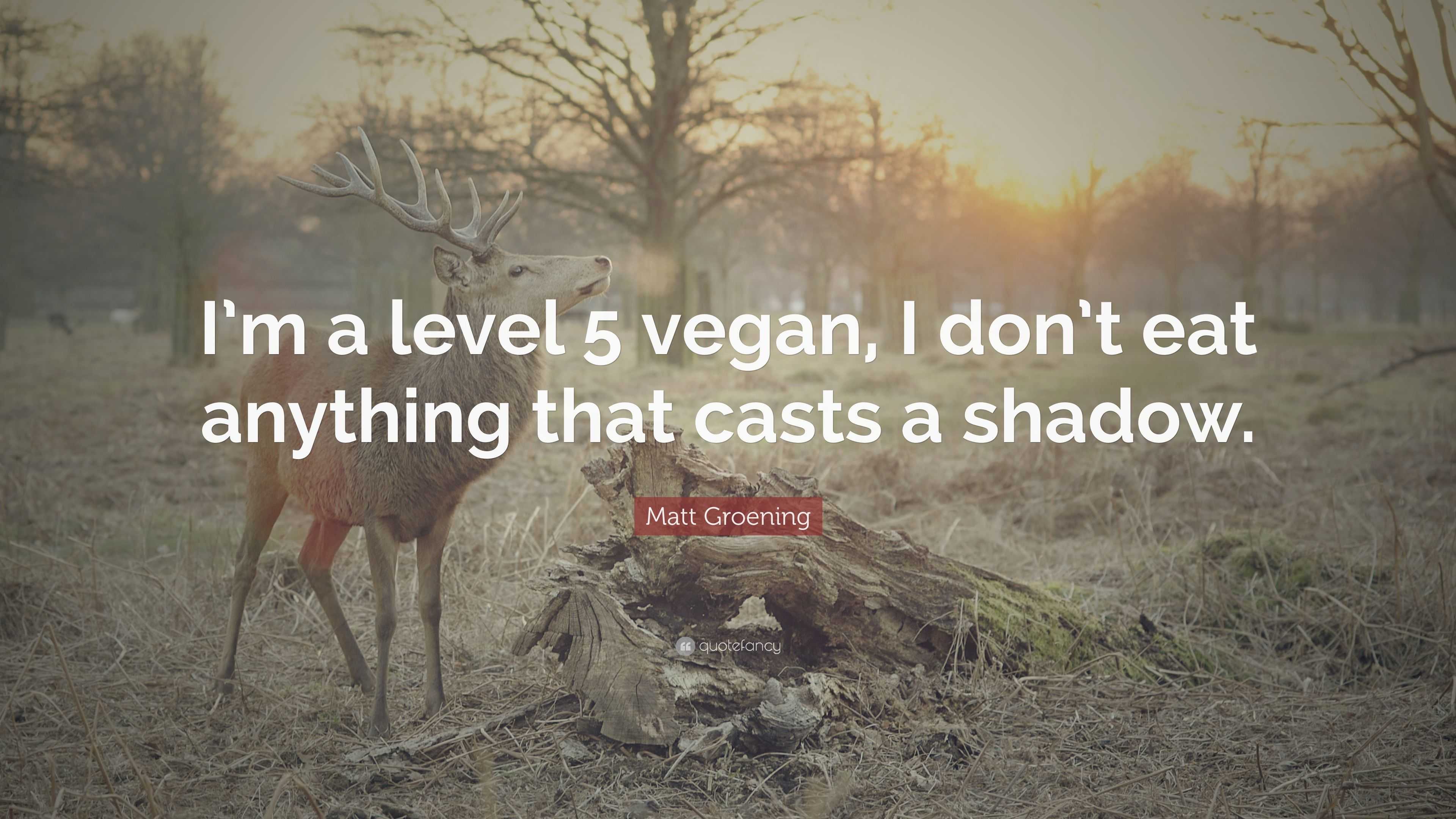 Matt Groening Quote: “I’m a level 5 vegan, I don’t eat anything that ...