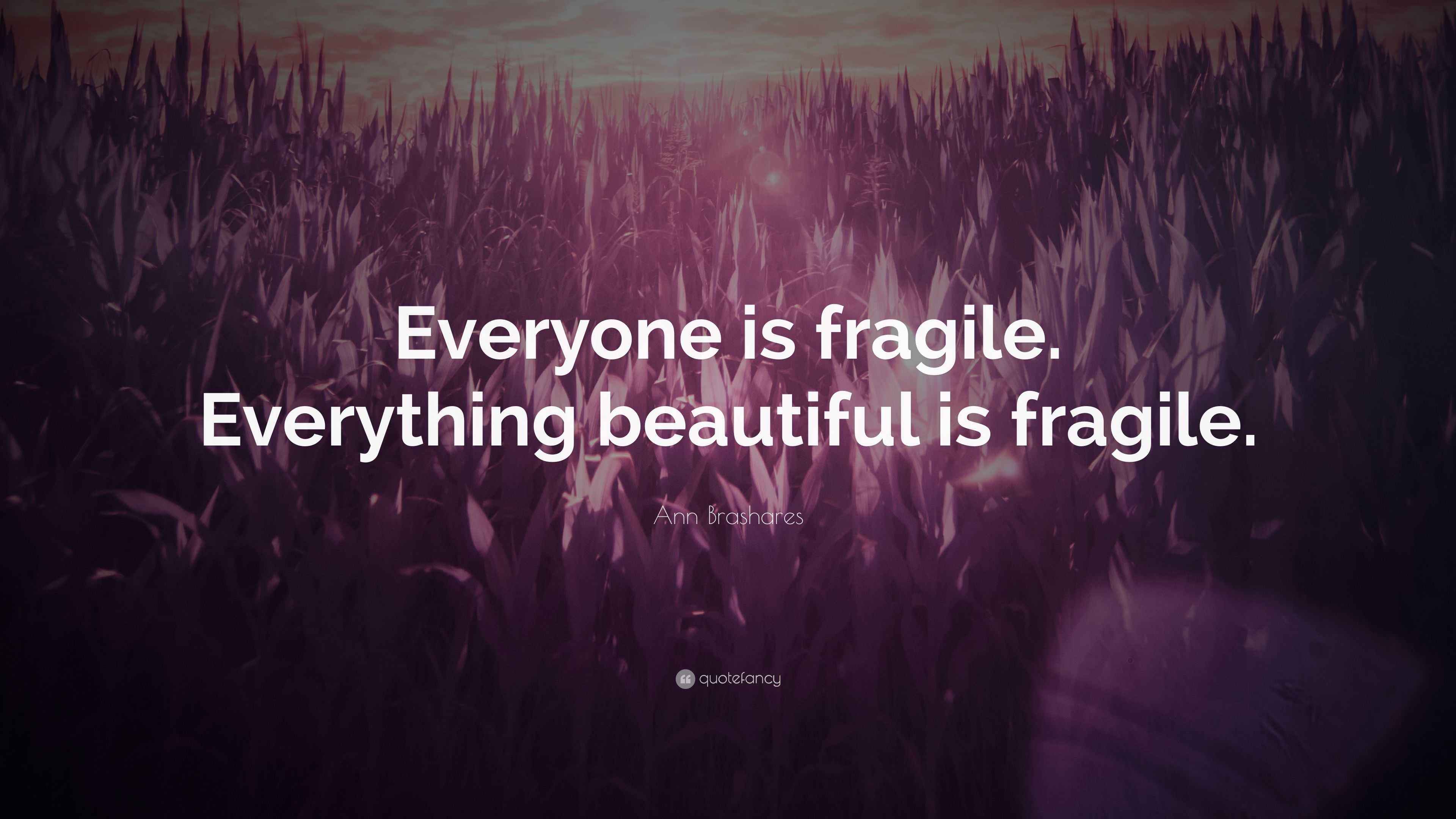 Ann Brashares Quote: “Everyone is fragile. Everything beautiful is ...