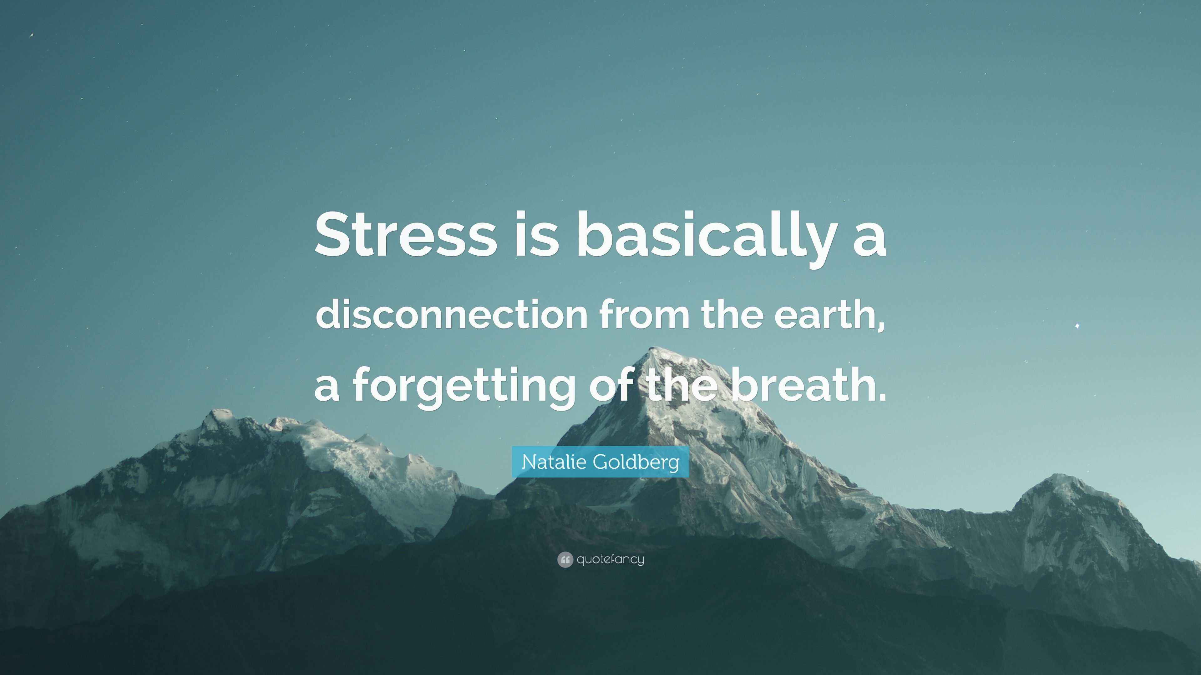 Natalie Goldberg Quote: “Stress is basically a disconnection from the ...