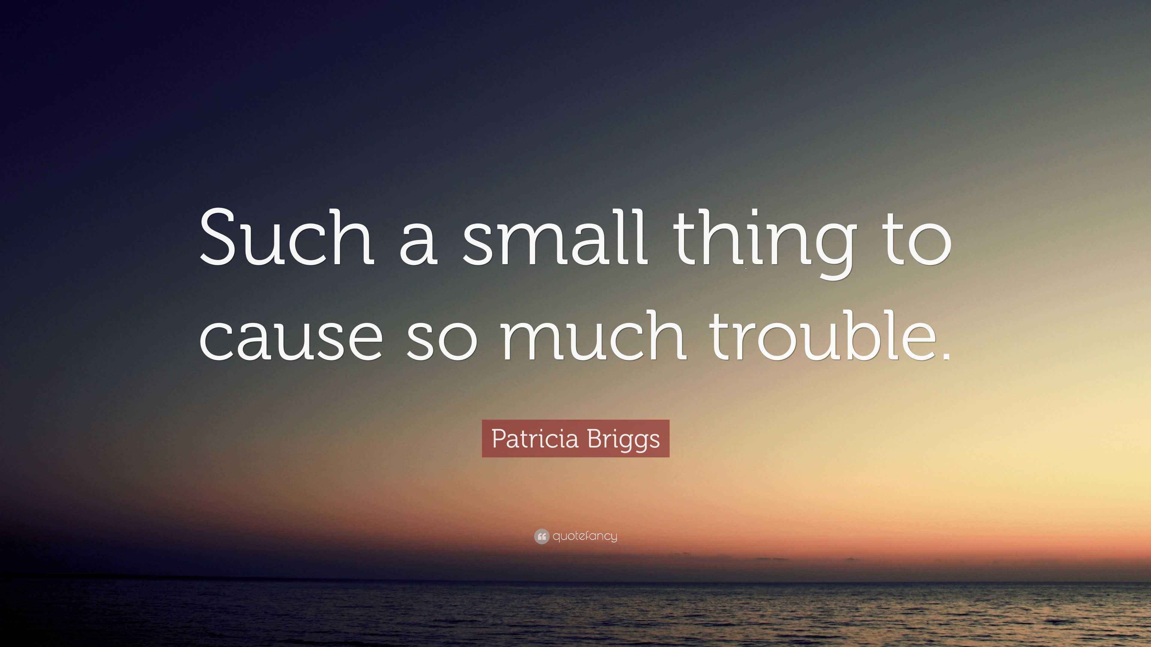 Patricia Briggs Quote: “Such a small thing to cause so much trouble.”