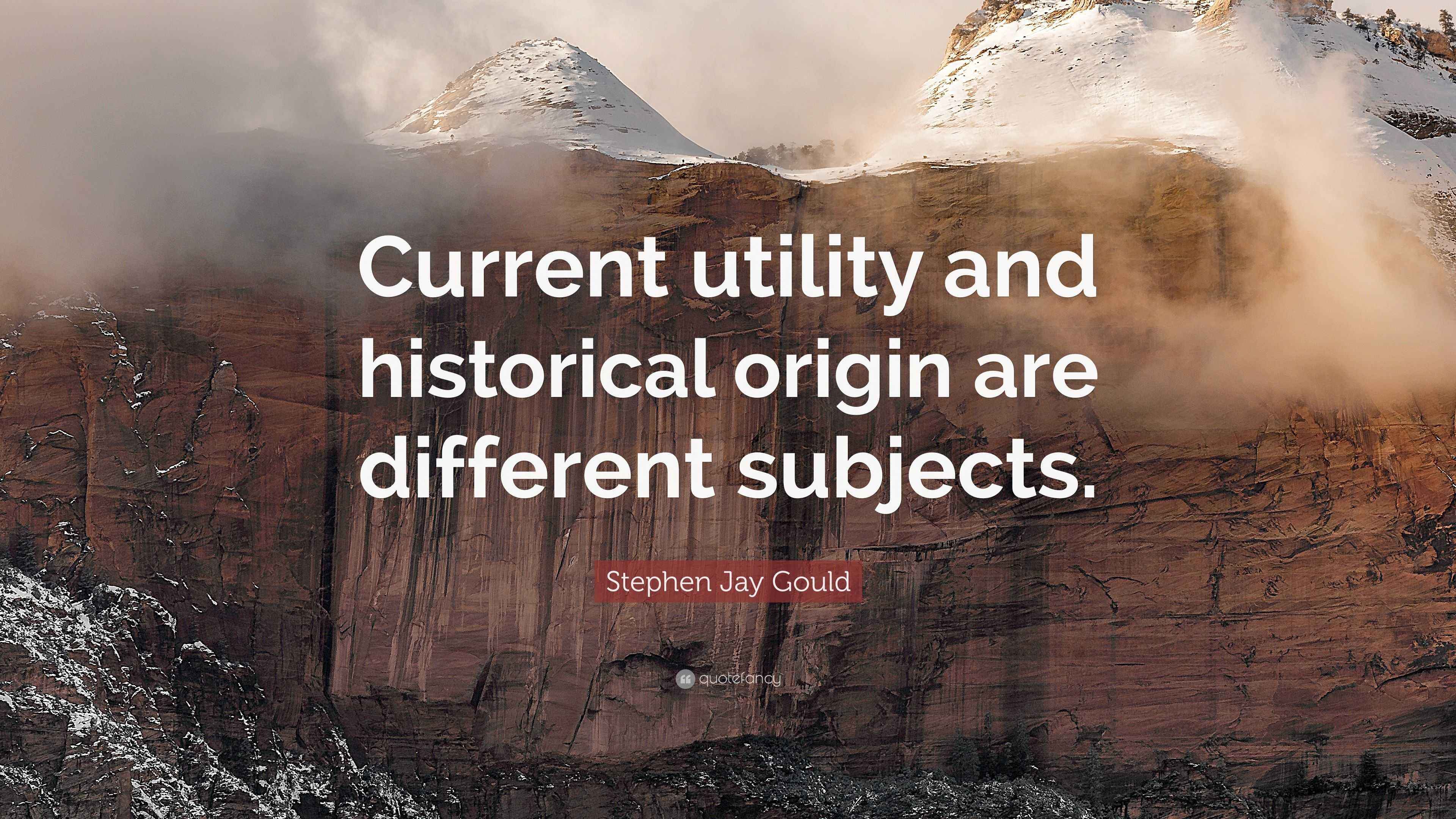 Stephen Jay Gould Quote: “Current utility and historical origin are ...