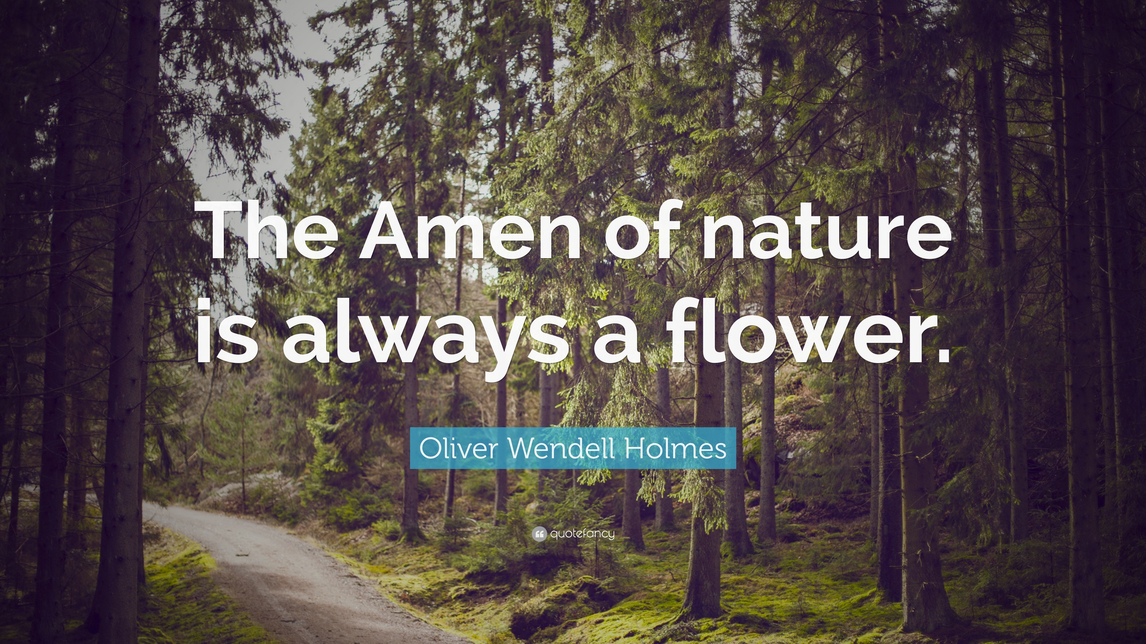 Oliver Wendell Holmes Quote: “The Amen of nature is always a flower.”