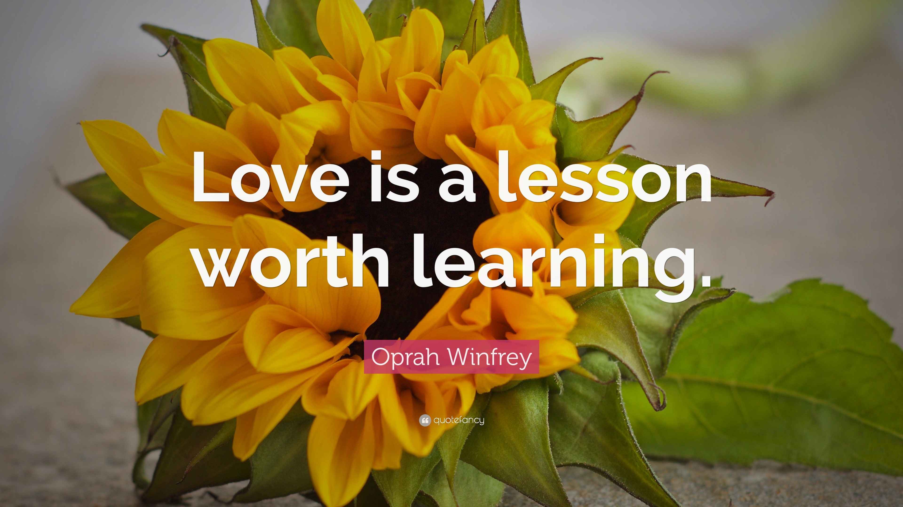 Oprah Winfrey Quote: “Love is a lesson worth learning.”