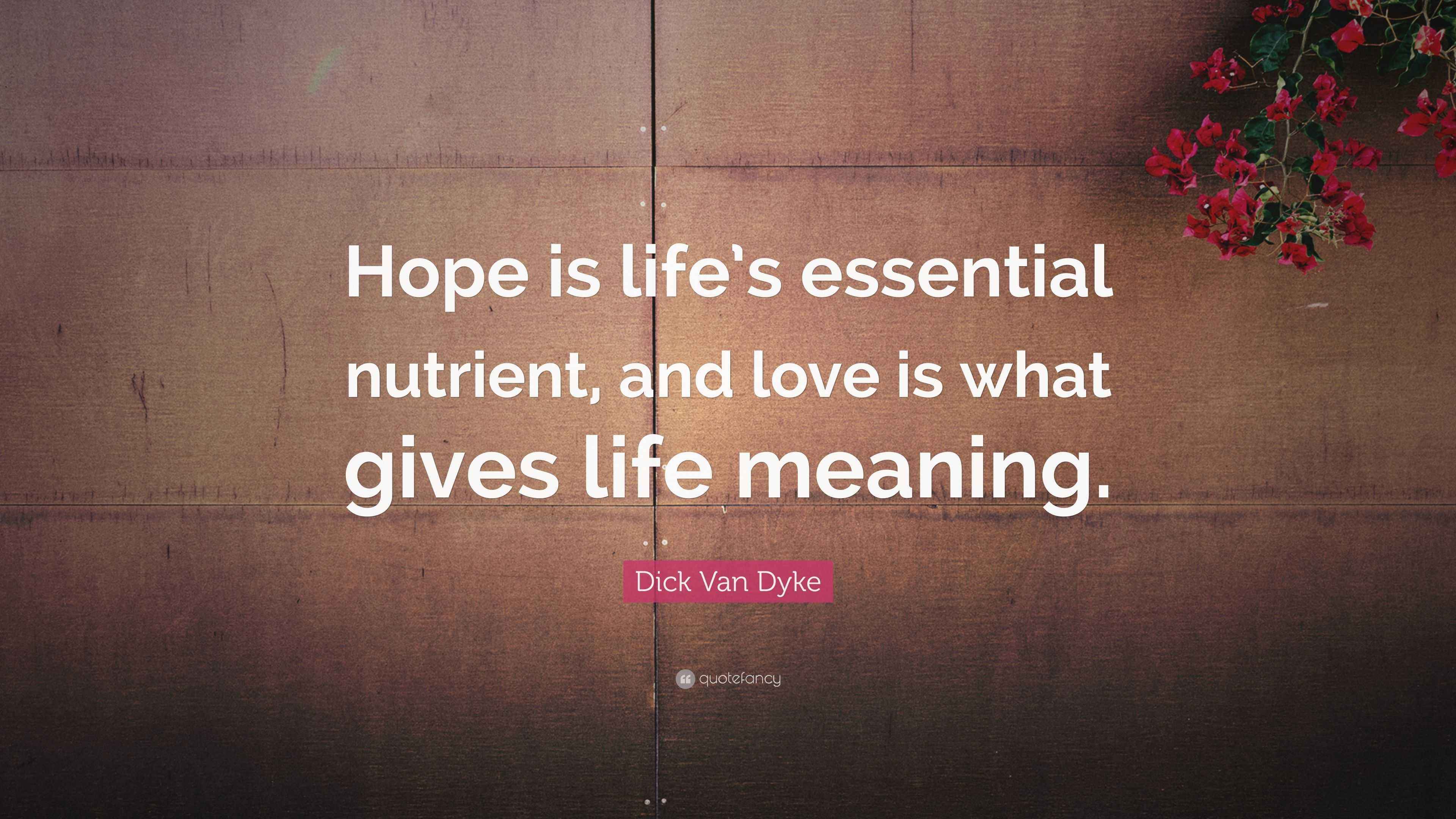 Dick Van Dyke Quote: “Hope is life’s essential nutrient, and love is ...