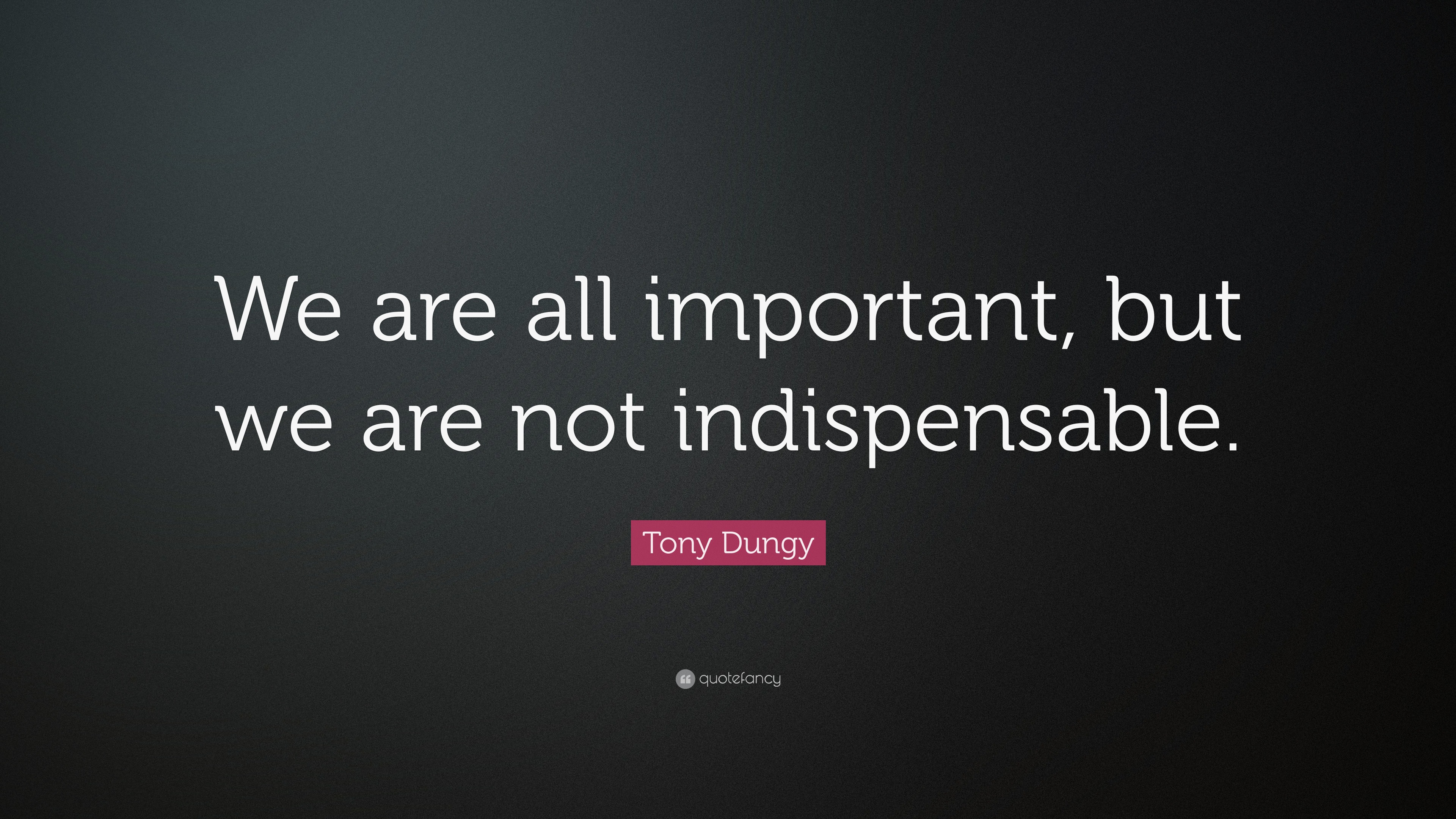 Tony Dungy Quote: “We are all important, but we are not indispensable.”